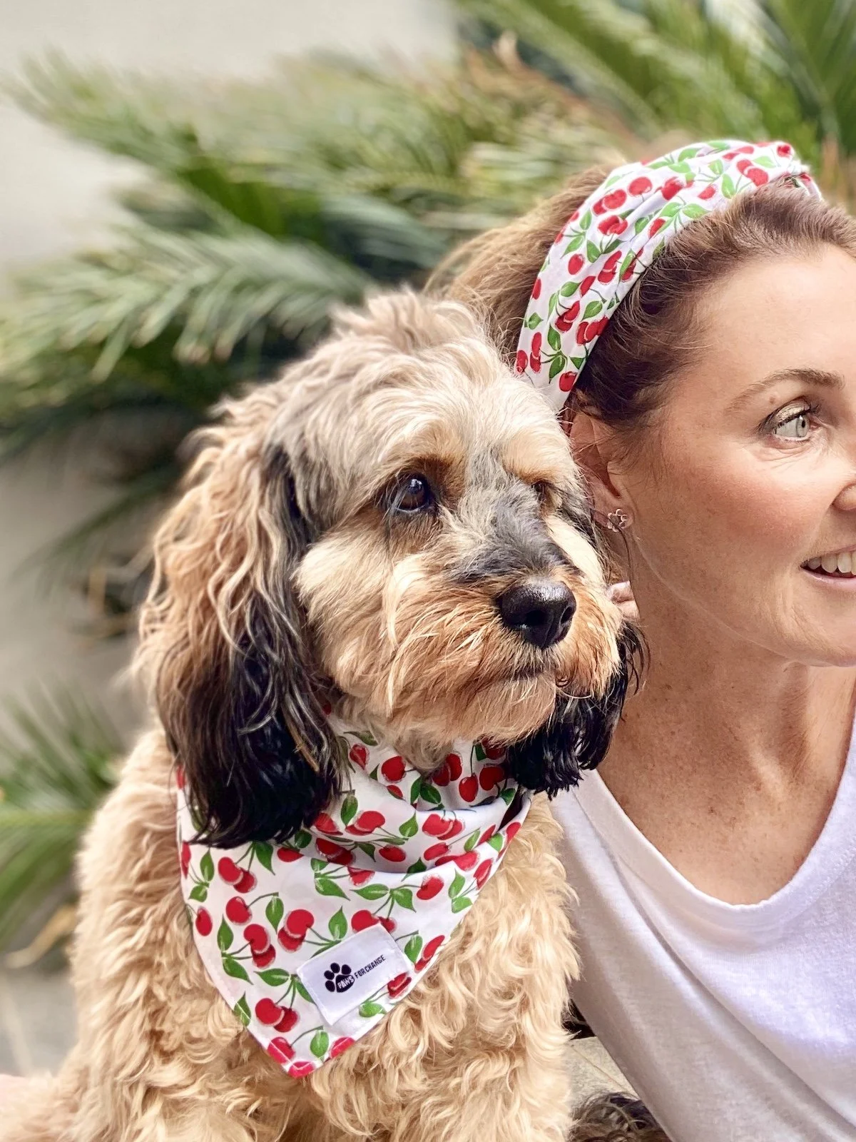 Paws for Change Greeting Cards — Paws For Change