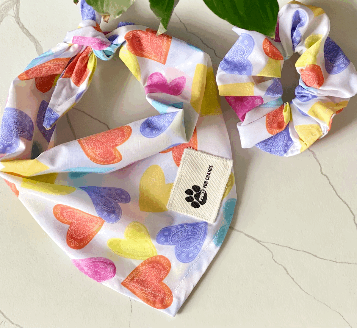 Paws for Change Greeting Cards — Paws For Change