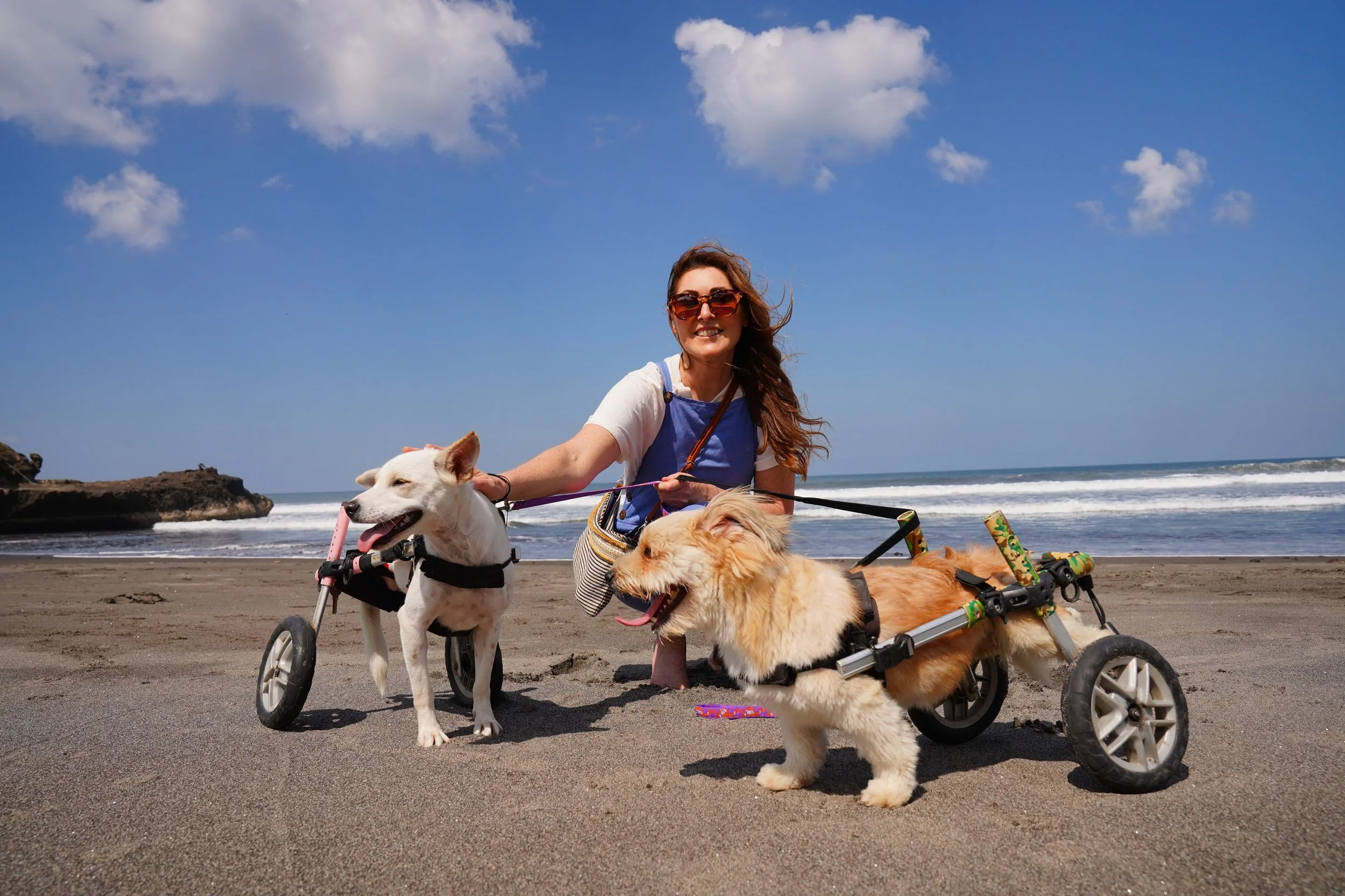 Our Story | Join Our Cause Today — Paws For Change