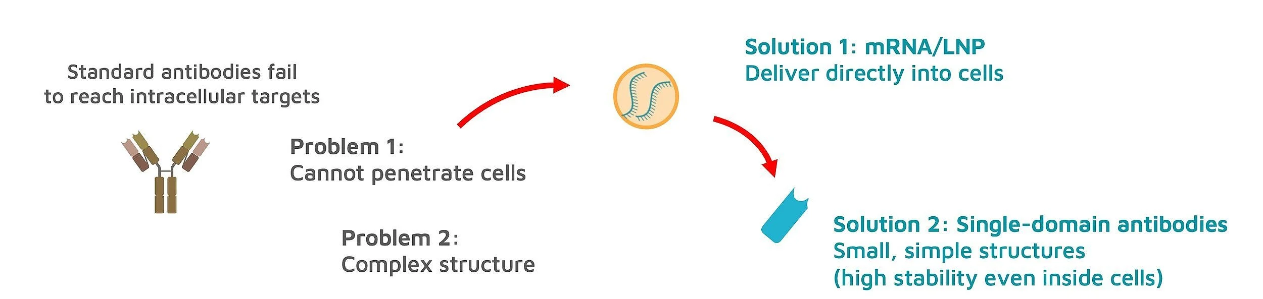 Science — Mermaid Bio