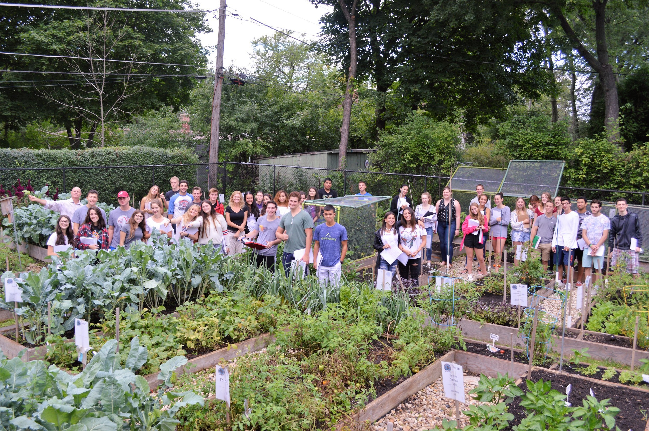 Organic Teaching Garden — Ed Kugler