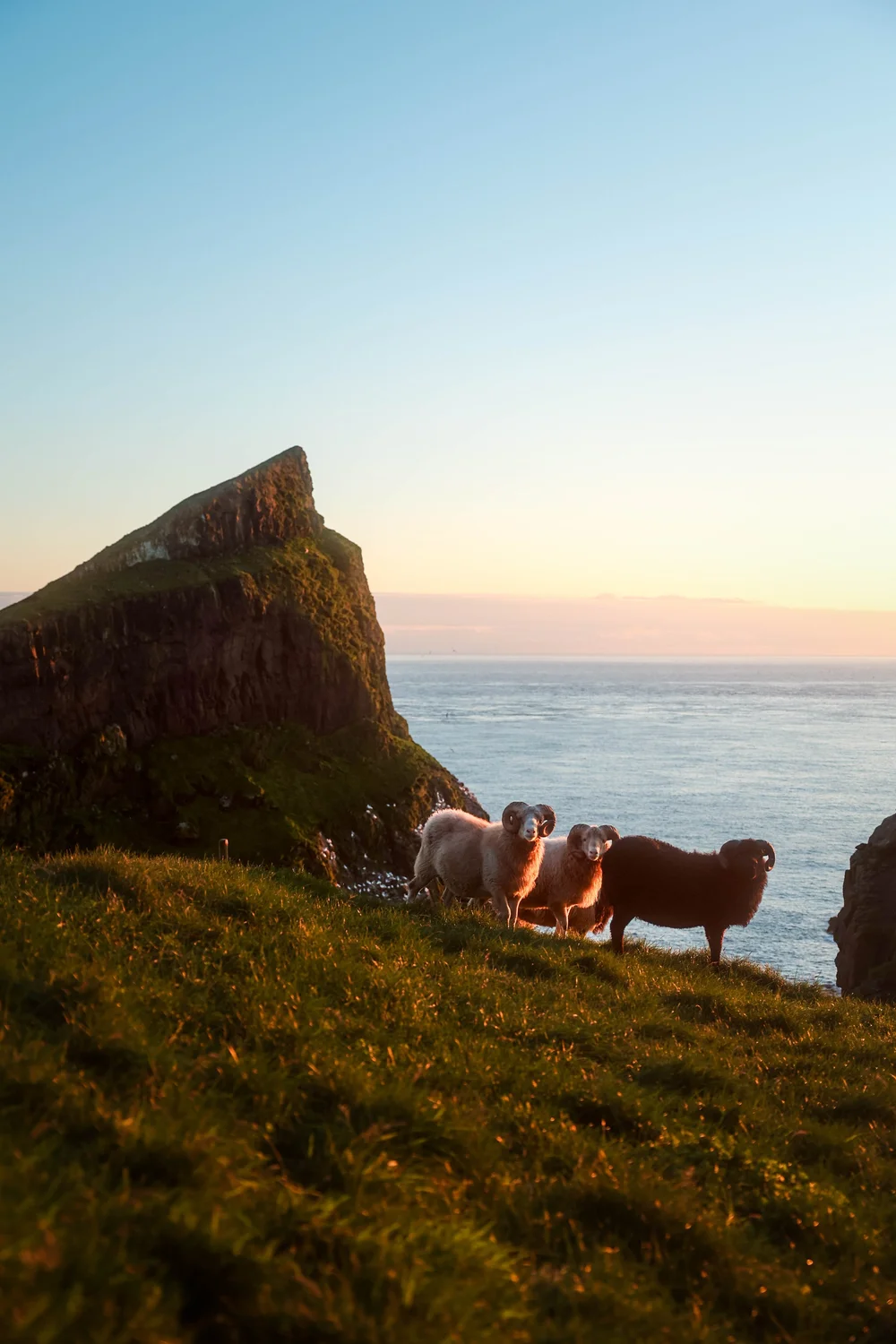 Mykines Tour - Faroe Islands — Outdoor
