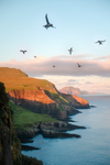 Mykines Tour - Faroe Islands — Outdoor