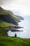 Mykines Tour - Faroe Islands — Outdoor