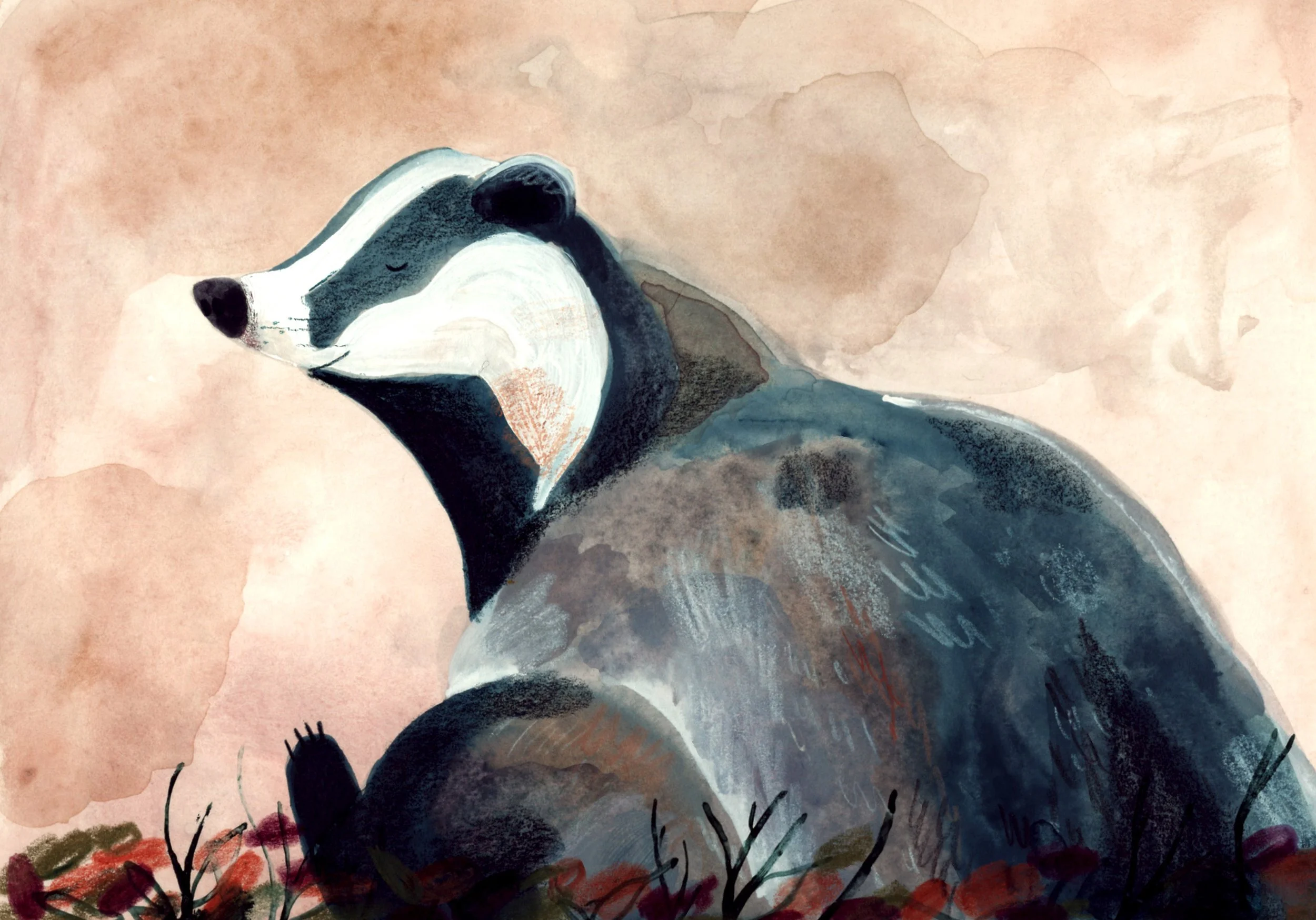 Gallery 3 — Lucy Salmon