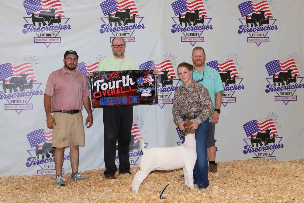 Show Goats — Dyer Livestock