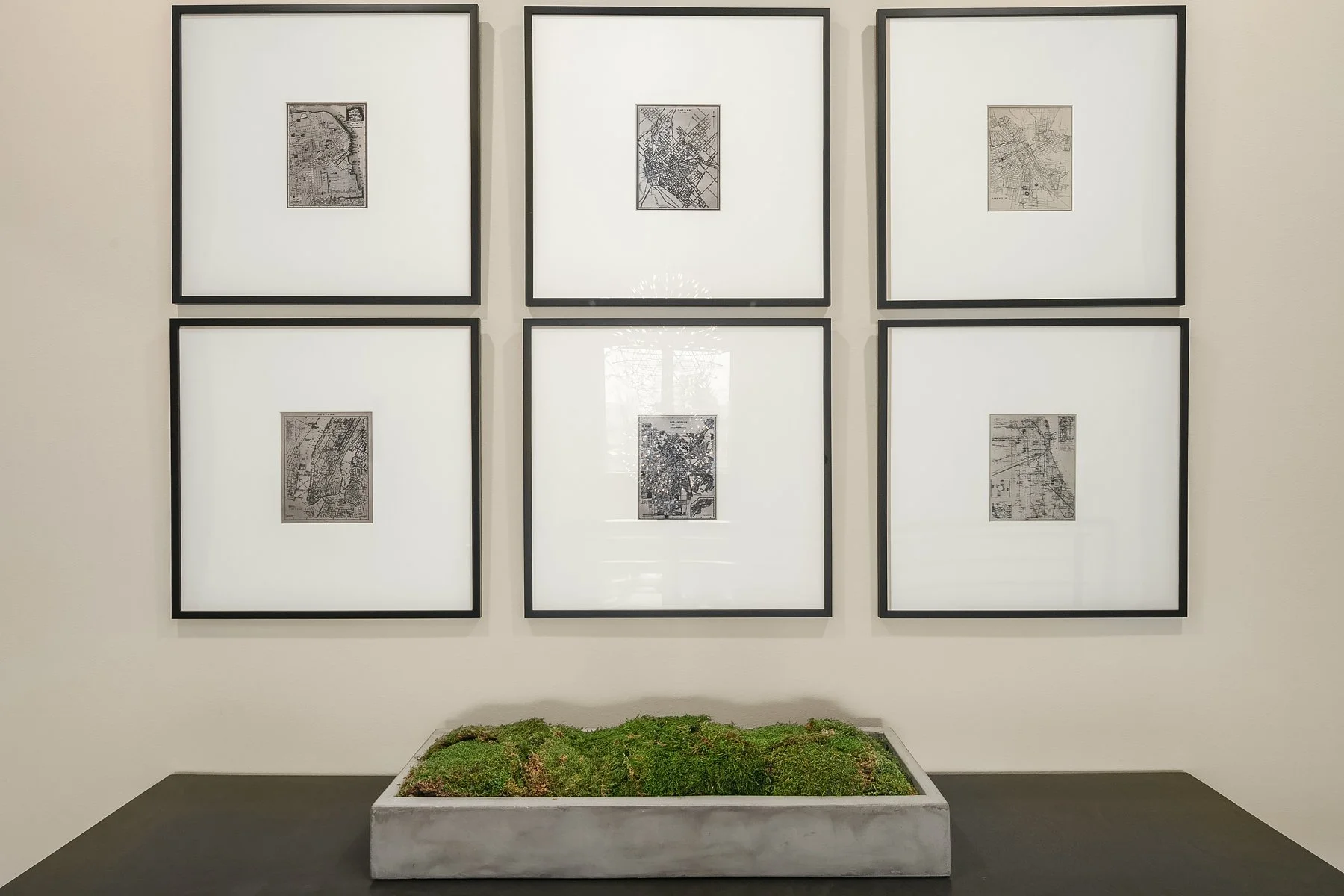 Kirkland Modern — Nicole Hopper Interiors