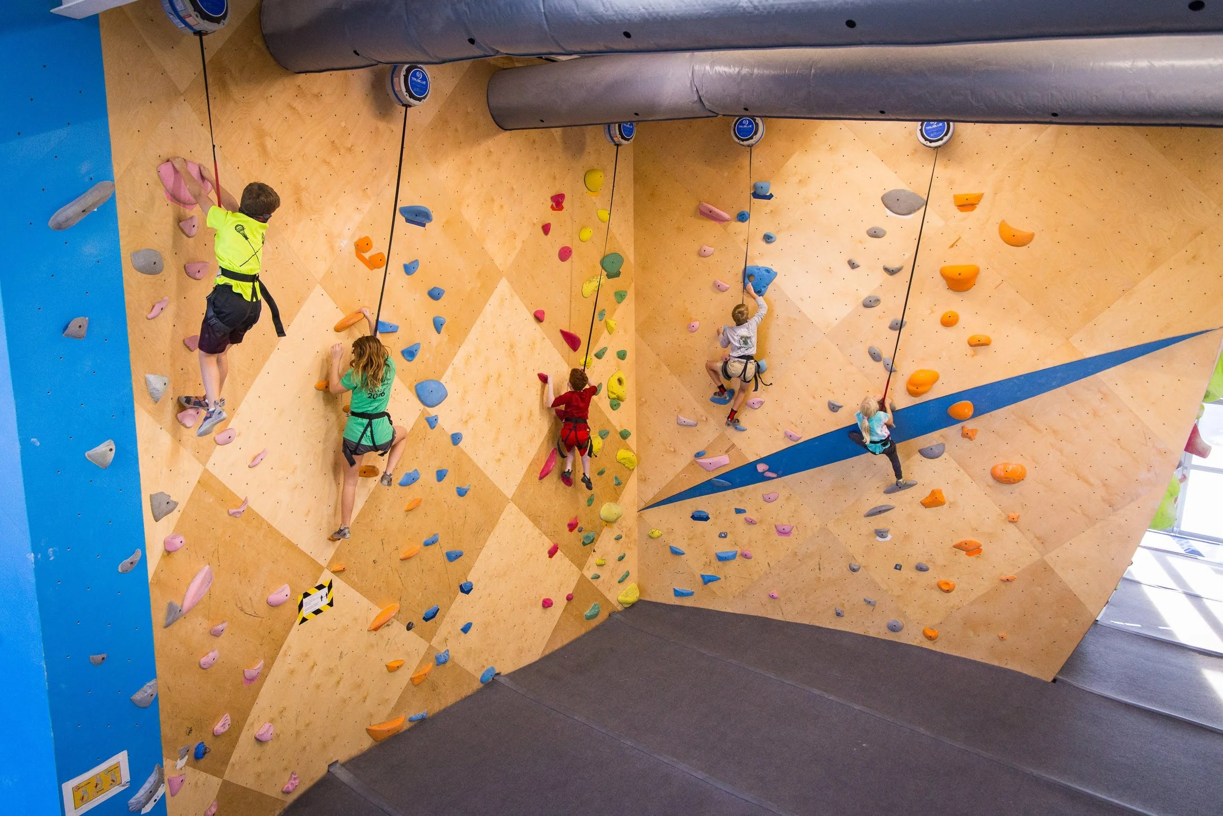 Walls — Birmingham Boulders