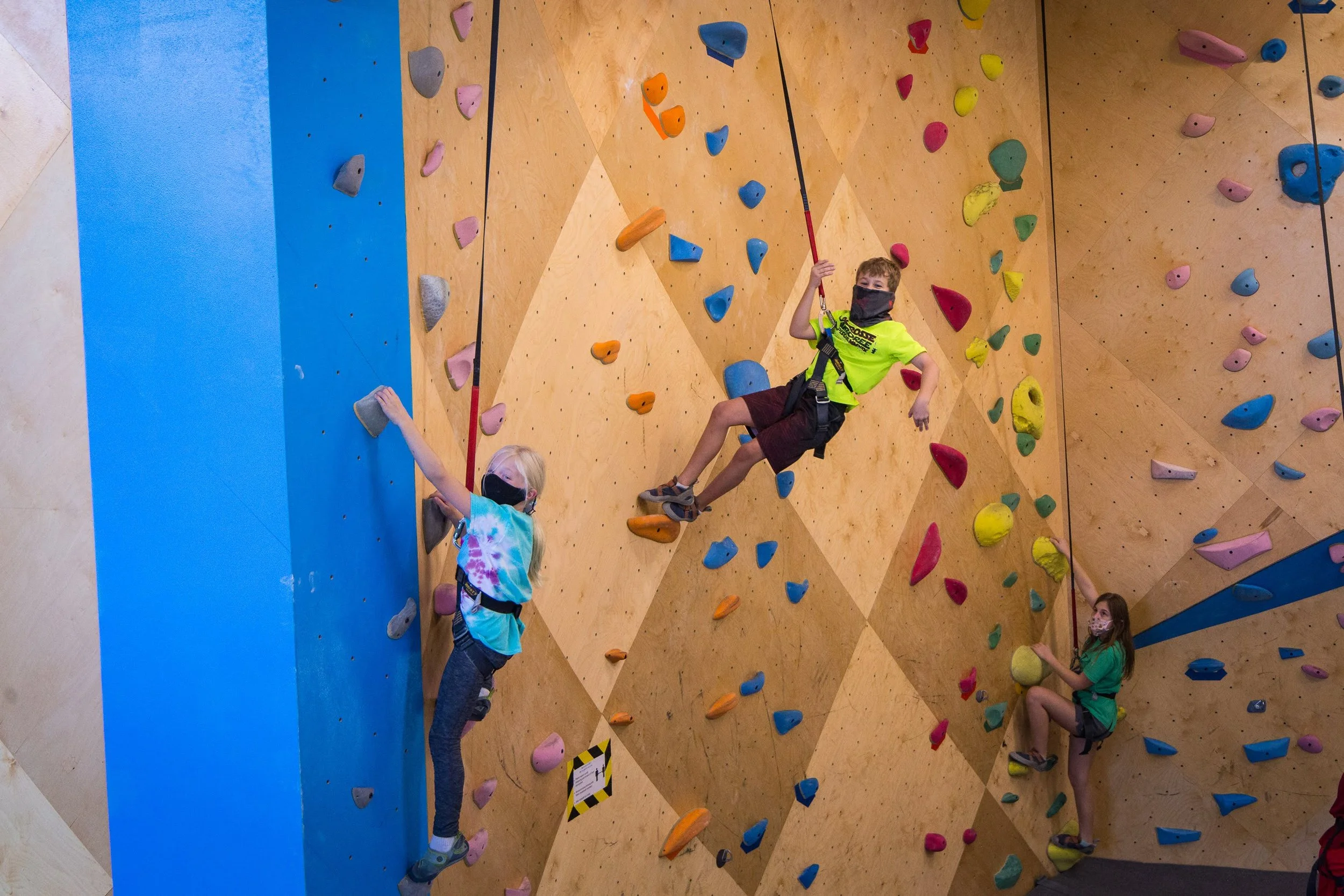 Walls — Birmingham Boulders