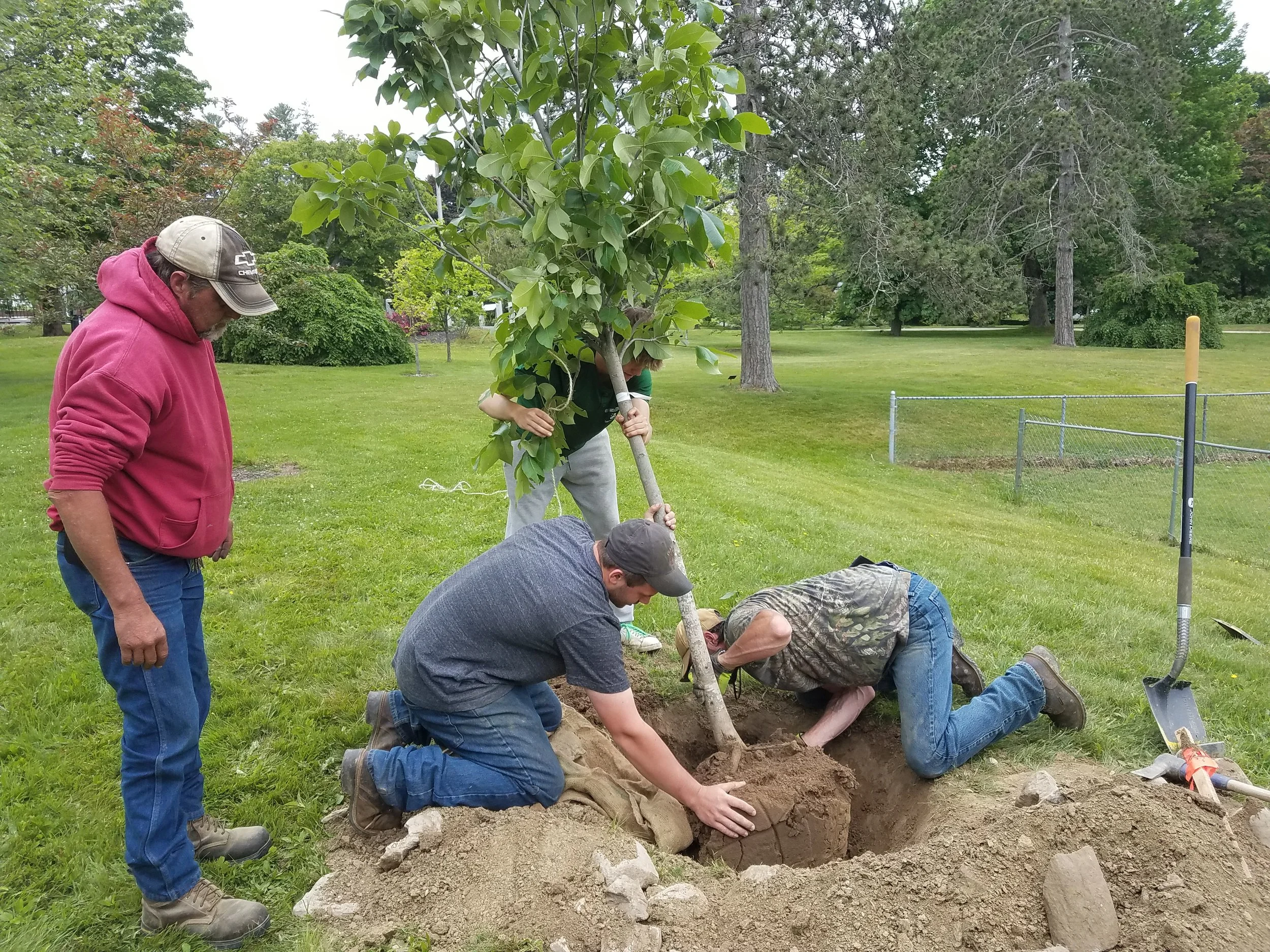Blog: City Park Arboretum — Waldo County Soil & Water Conservation District