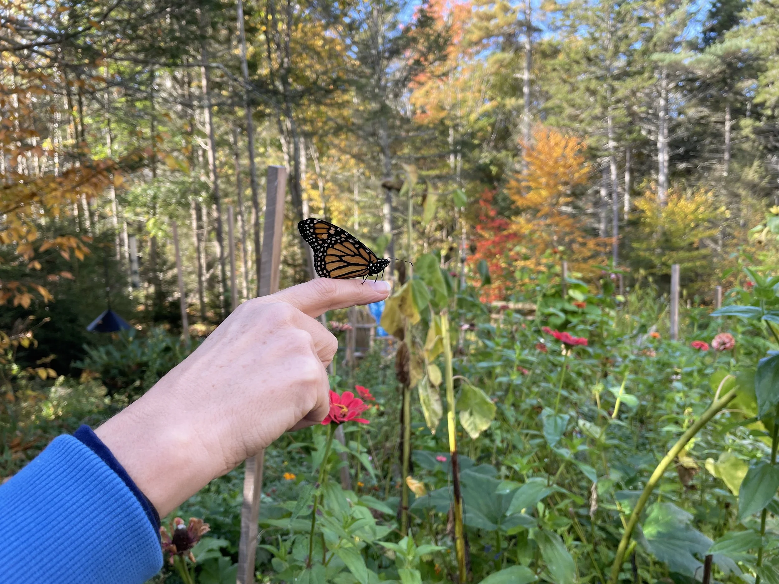 Conservation Landscape Certification — Waldo County Soil & Water ...
