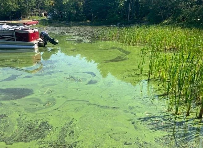 Unity Pond/Lake Resources — Waldo County Soil & Water Conservation District