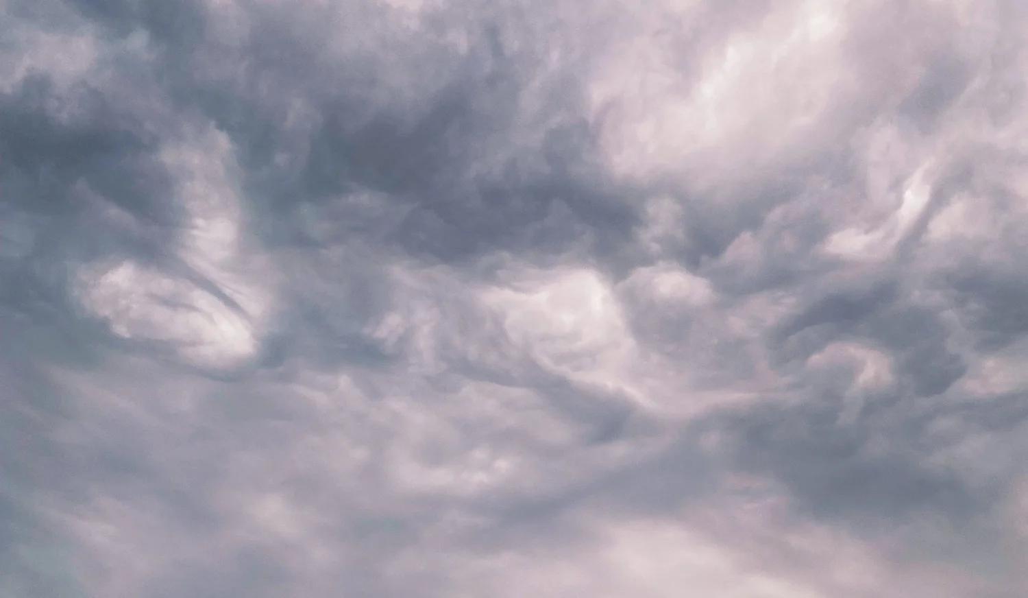 Press — Casey Johnston