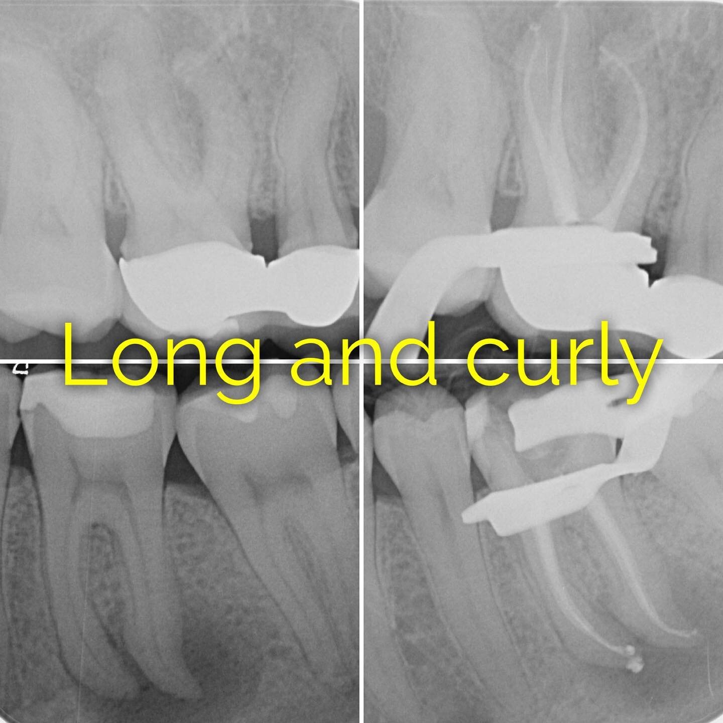 Contact — Greenwood Specialist Dental Clinic