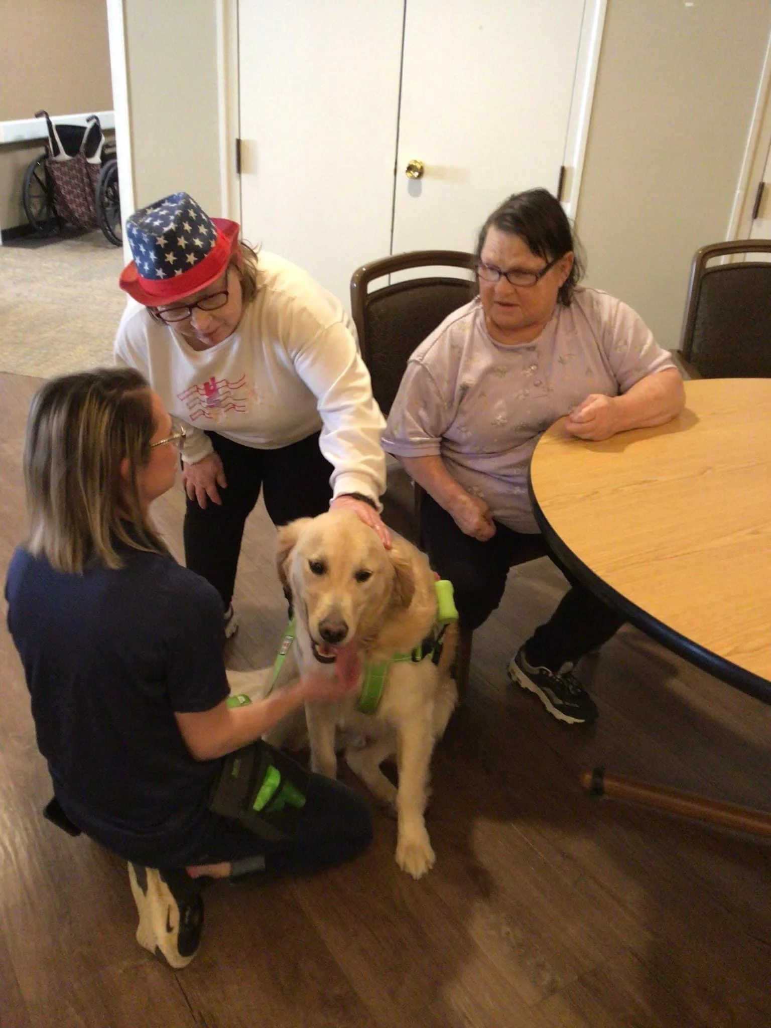 Emotional Therapy Dog Prospect Training — Riverside Canine Training ...