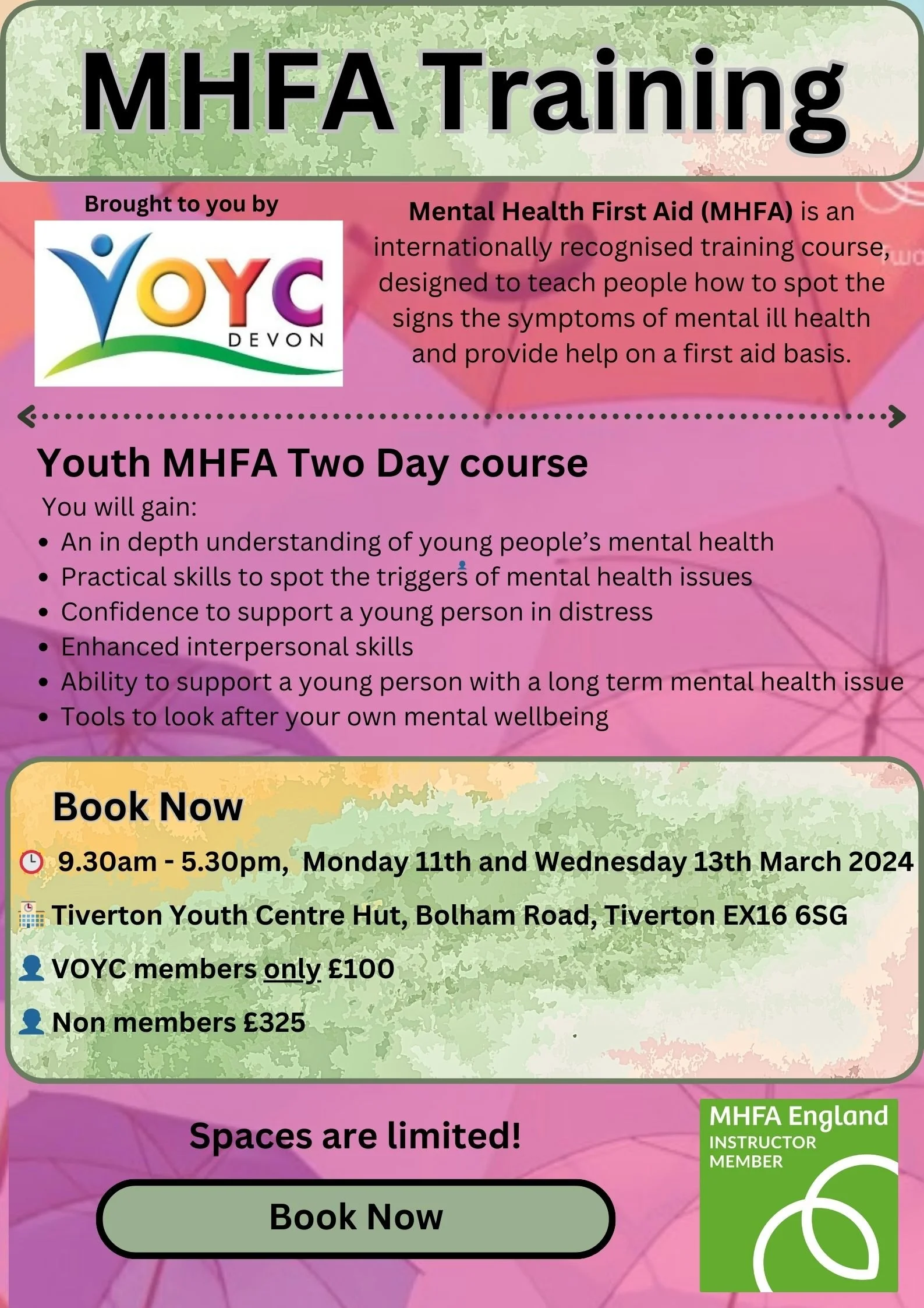 Mental Health First Aid (MHFA) training — Youth Work in Devon