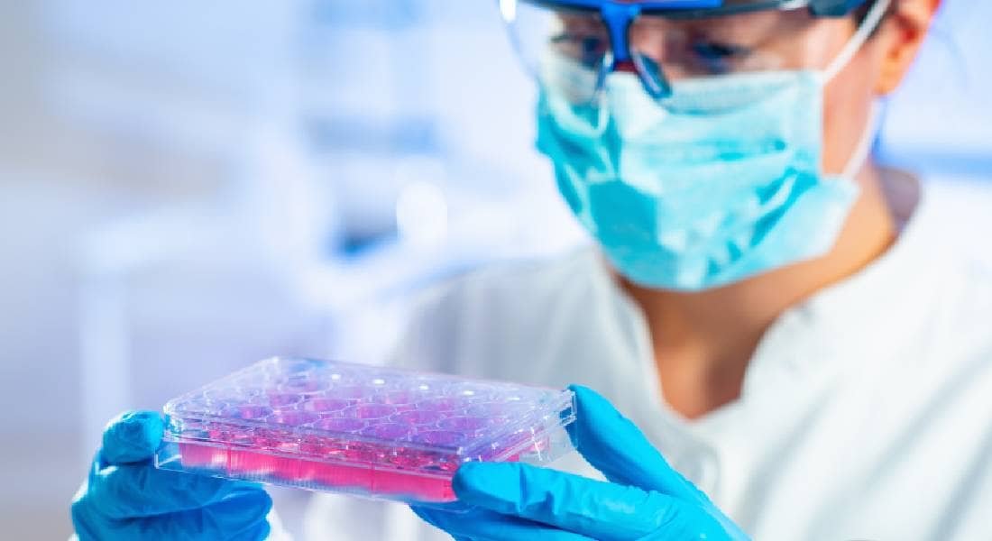 Introduction to Stem Cell Therapy: Unlocking the Potential of ...