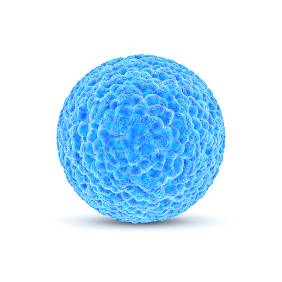 Stem Cell Therapy | The Woodlands, TX | Katy, TX