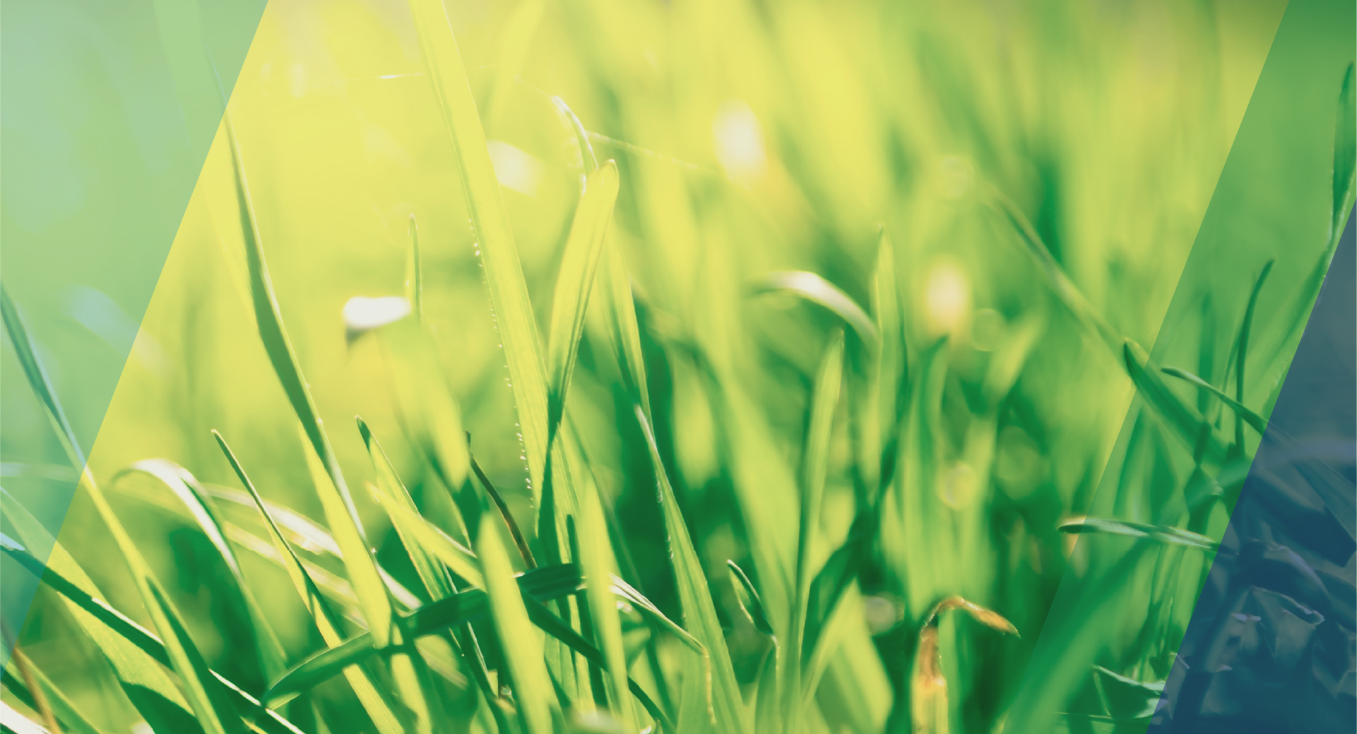 Organic Compost Dressing Halifax - Enviro Masters Lawn Care