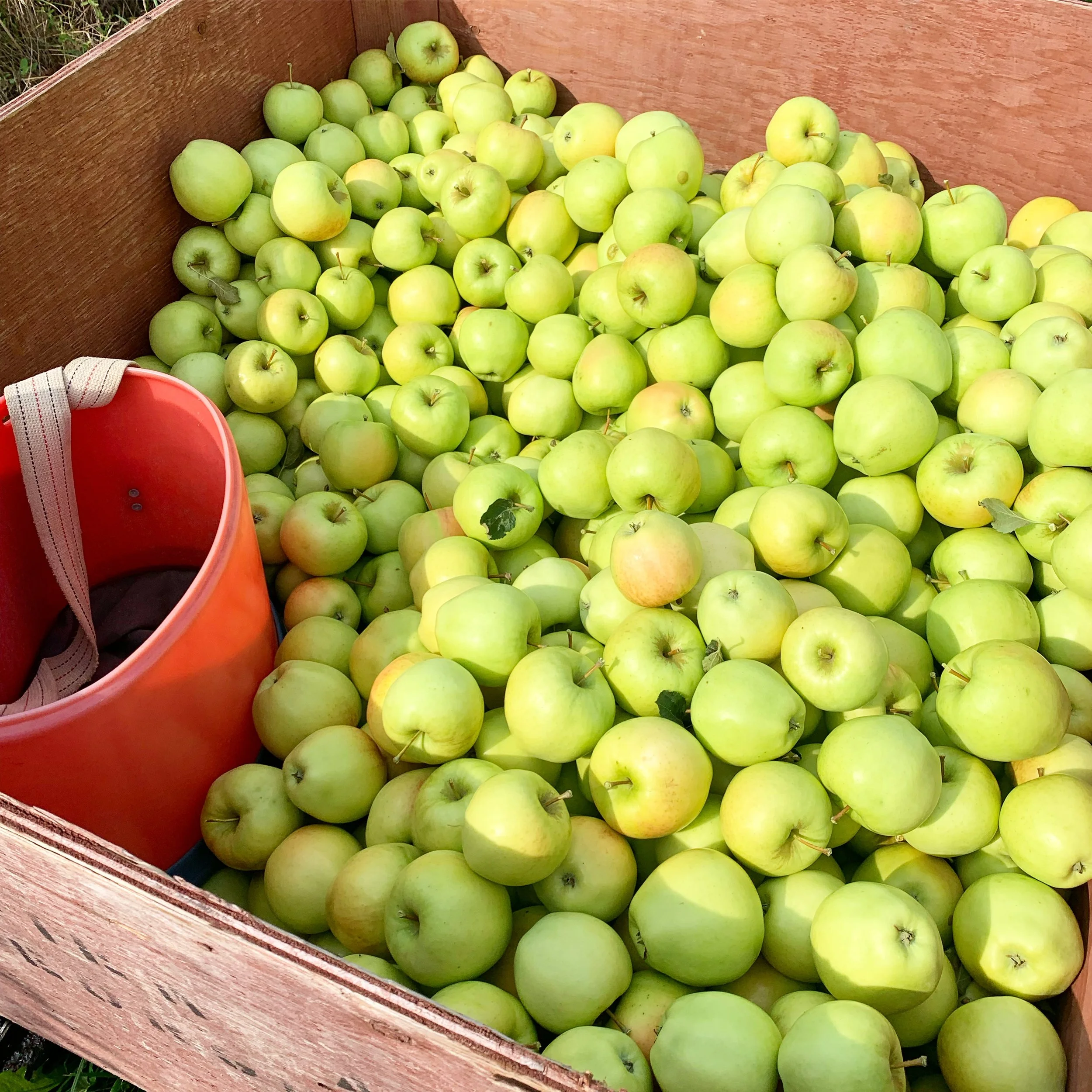 Farmers' Markets — Brantview Apples & Cider