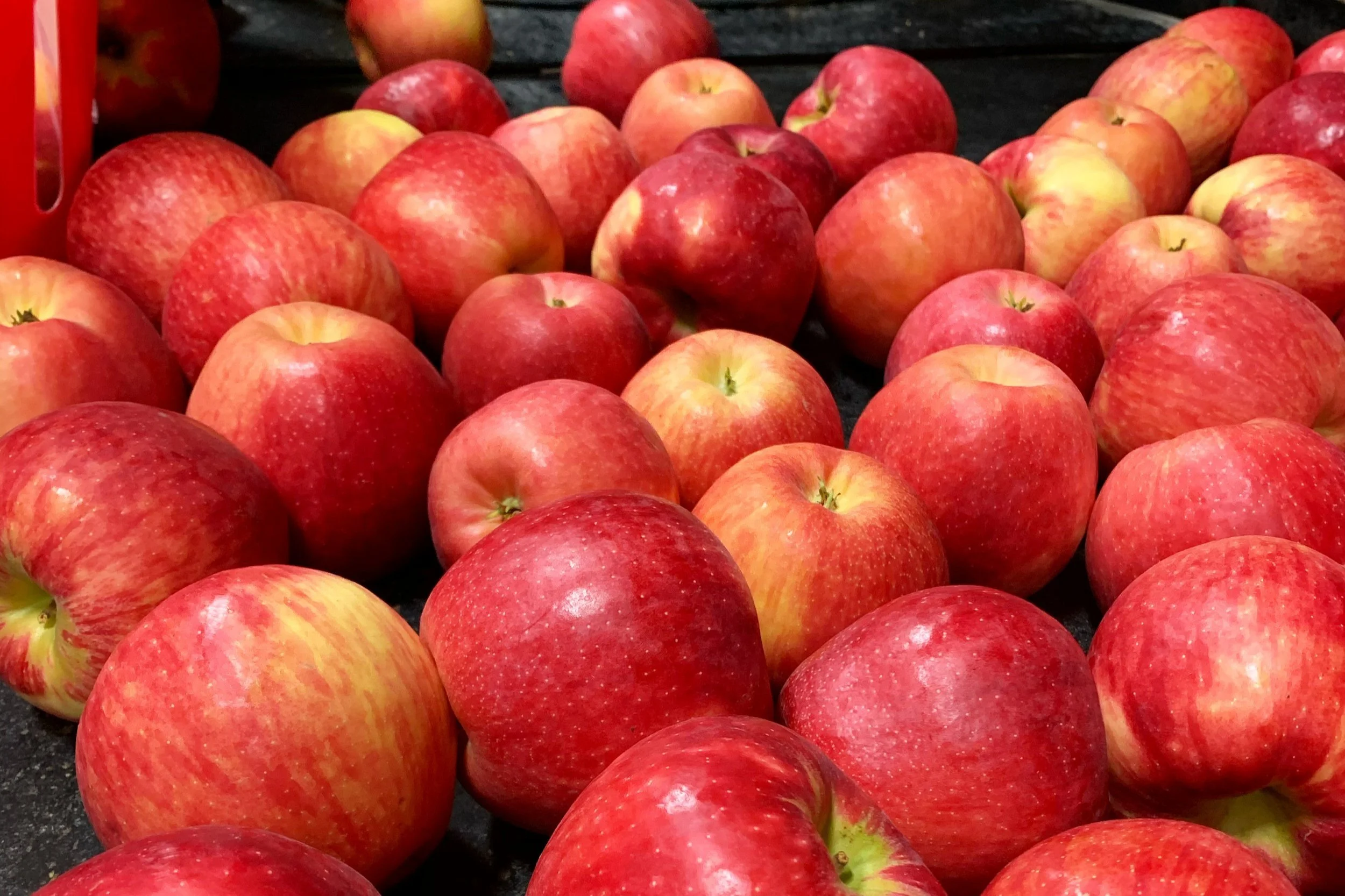 FAQ — Brantview Apples & Cider