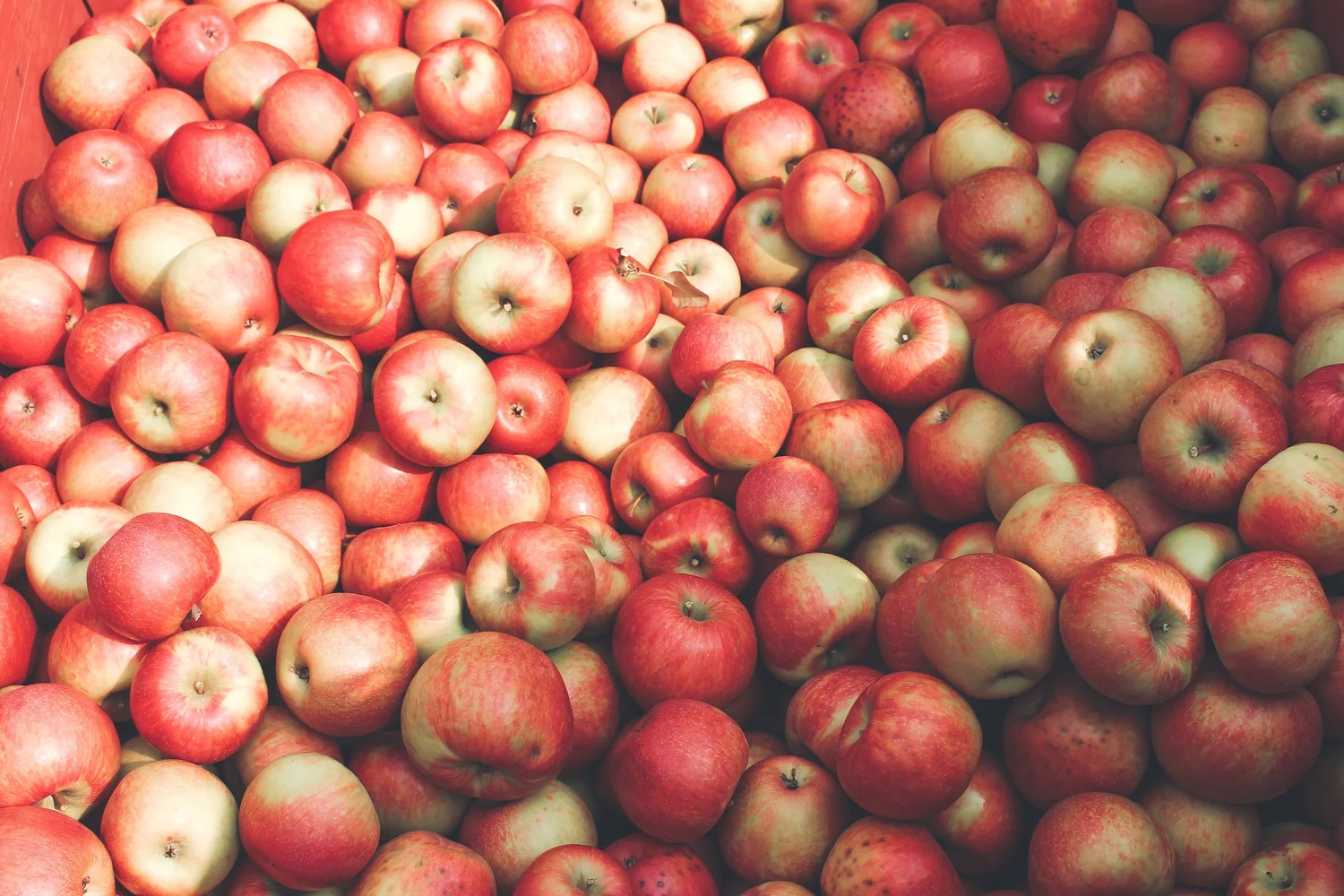 Brantview Apples and Cider