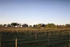 Brantview Apples and Cider