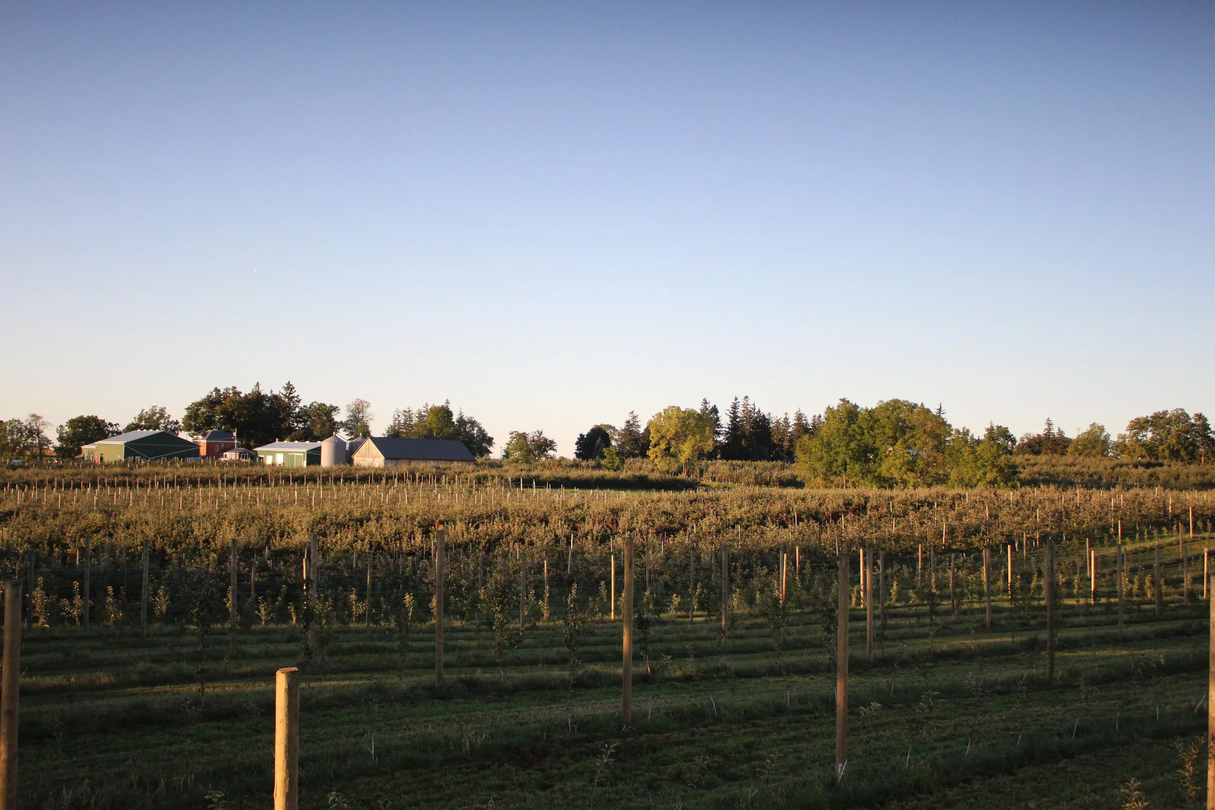 Brantview Apples and Cider