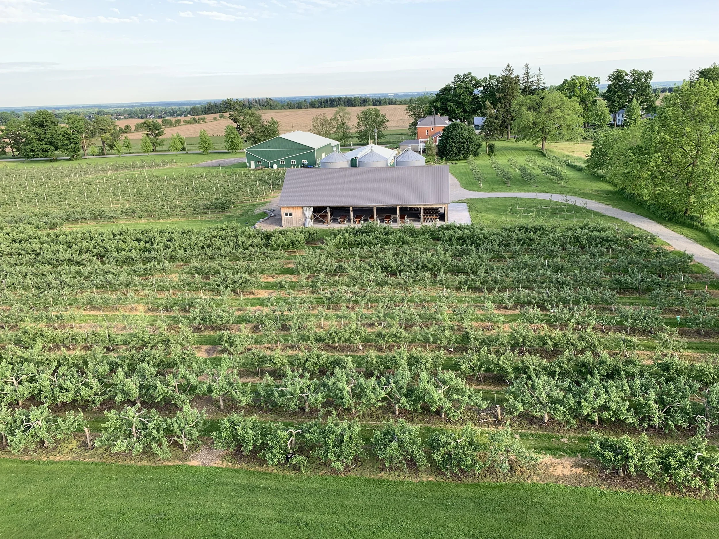 Brantview Apples and Cider