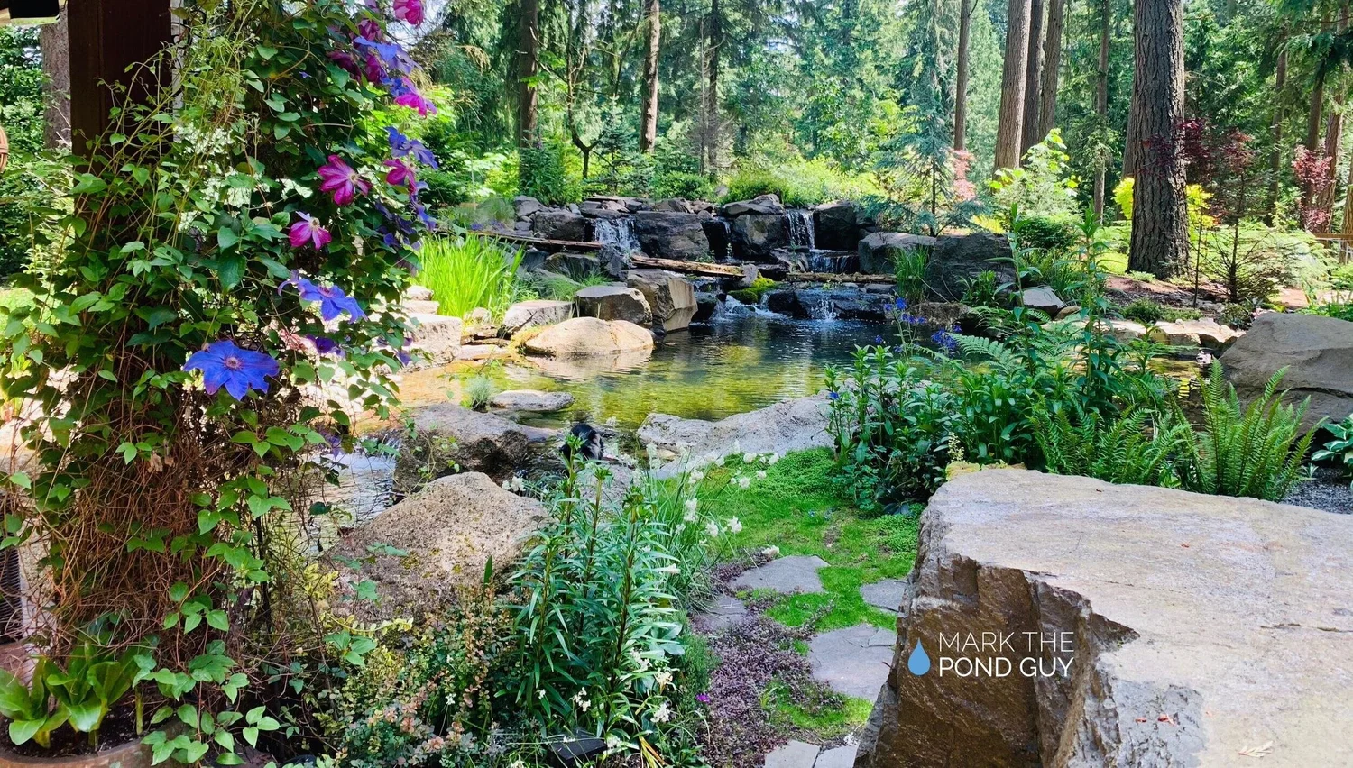 Recreation Pond Installation in Washington State — Mark The Pond Guy