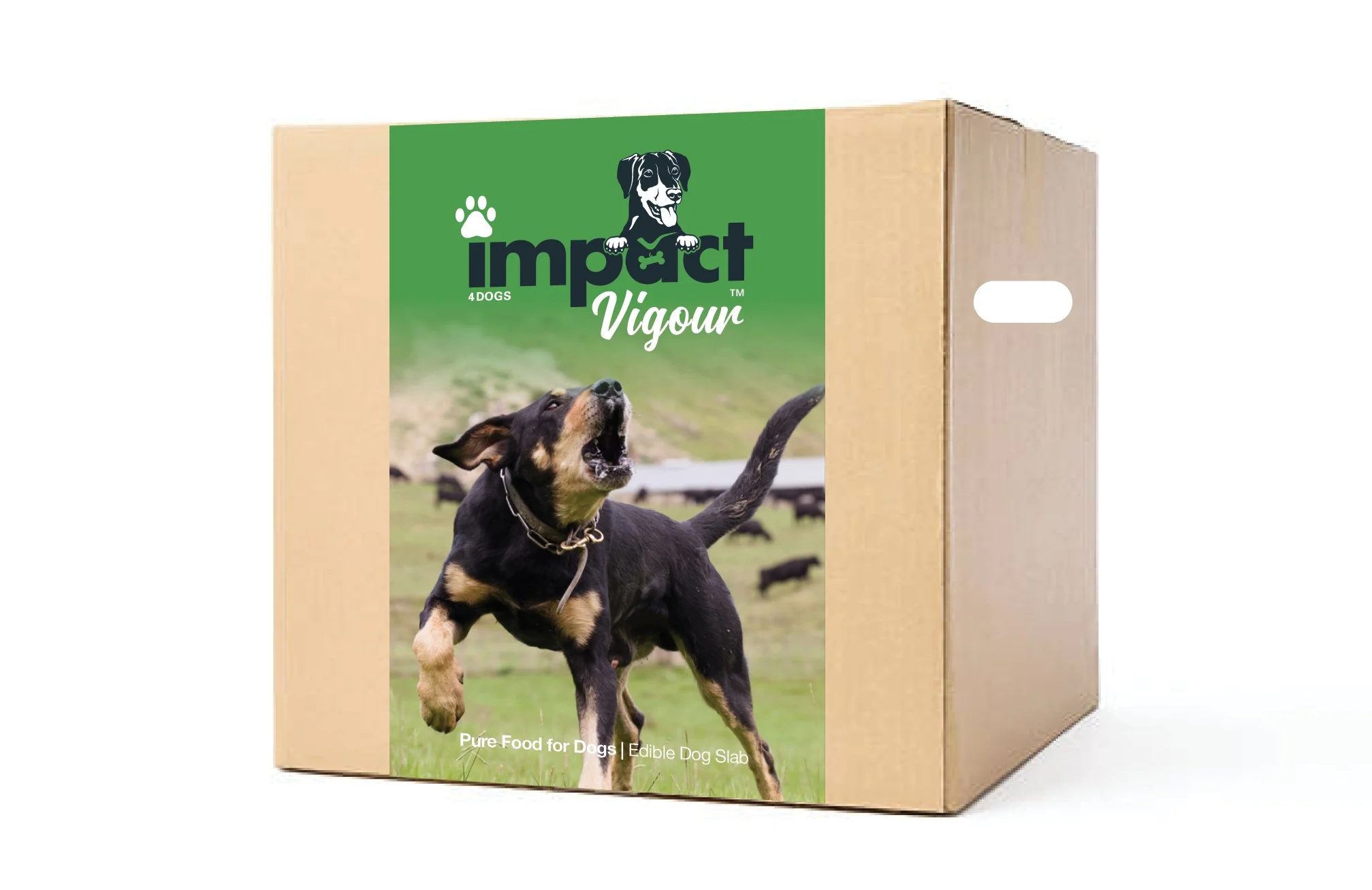 Our Rolls — Impact