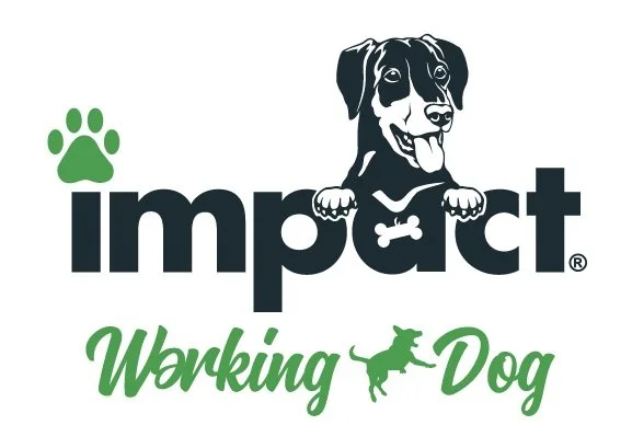 Order Today — Impact