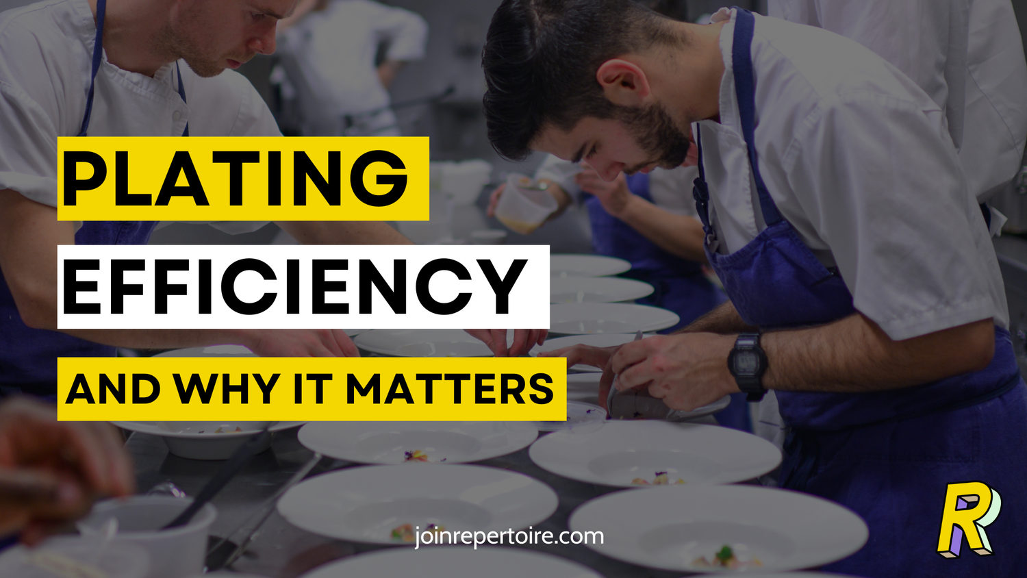 Plating Efficiency and Why it Matters? — Repertoire