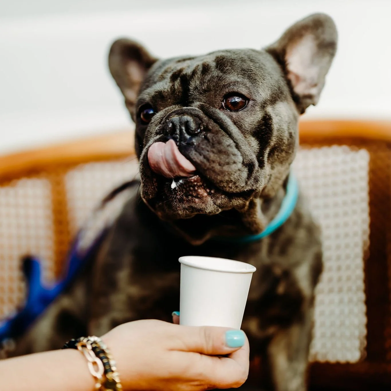Birdies Coffee & Treats