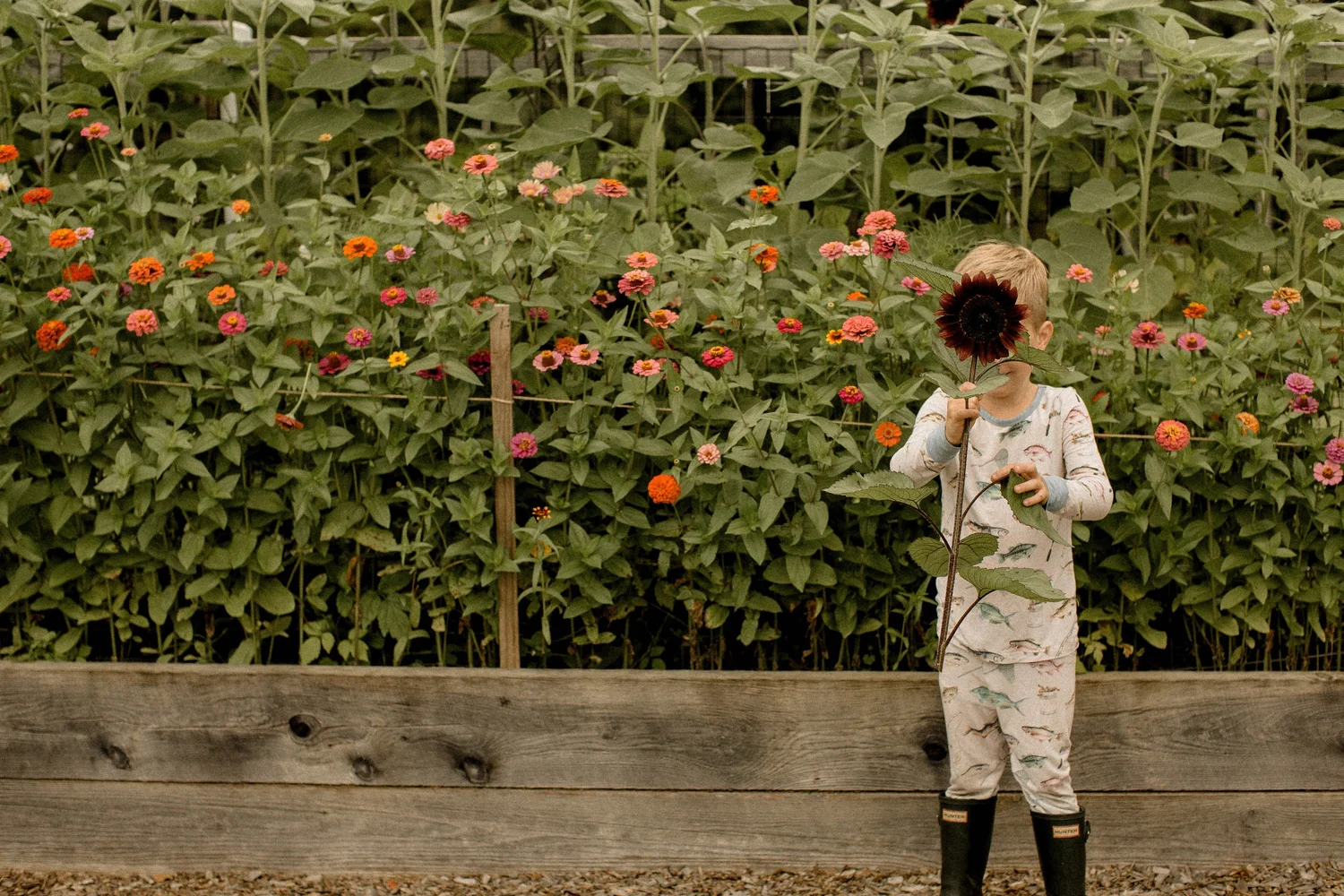 Gallery 3 — PANTRY HILL