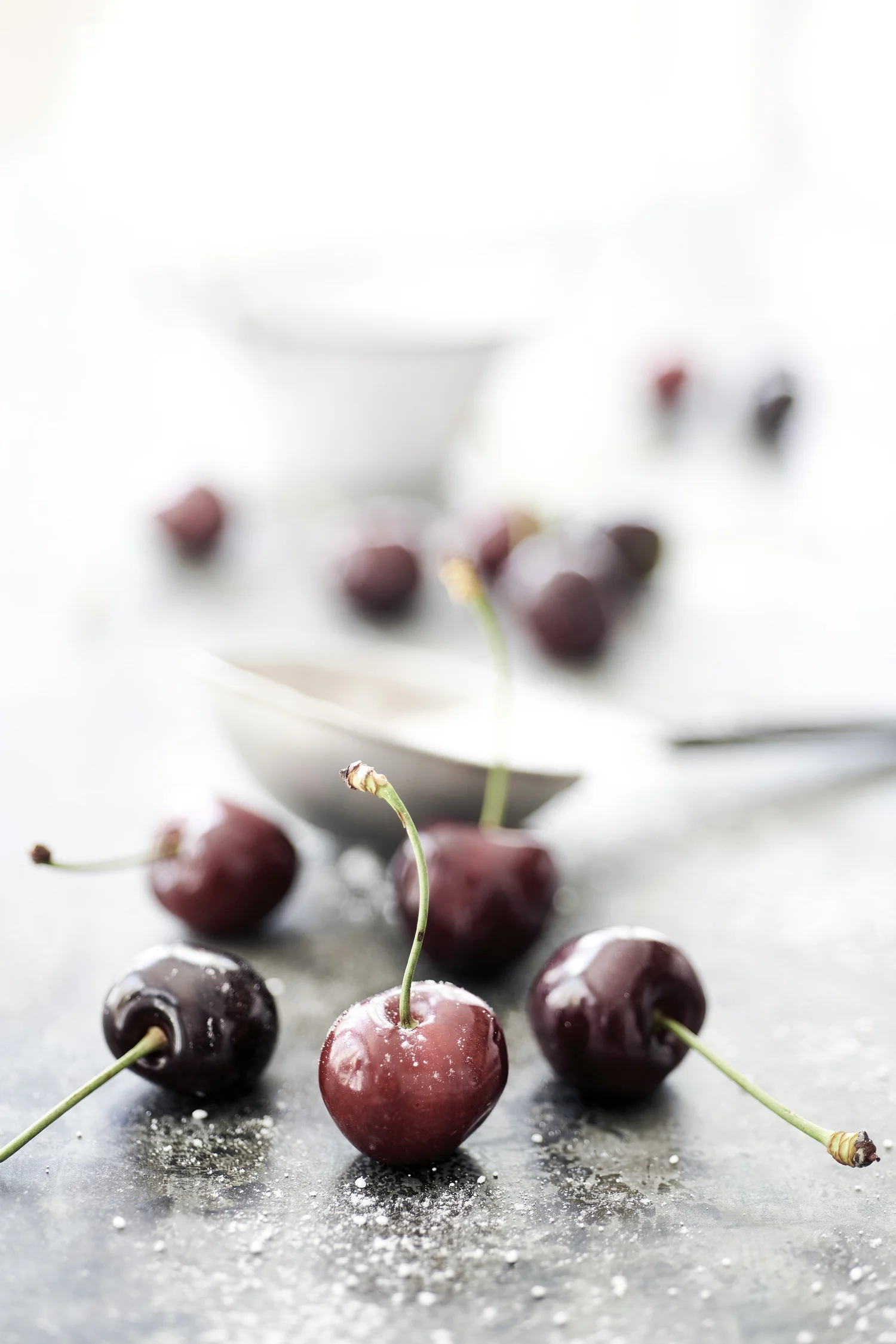 Store 2 — CHRIS L. JONES PHOTOGRAPHY