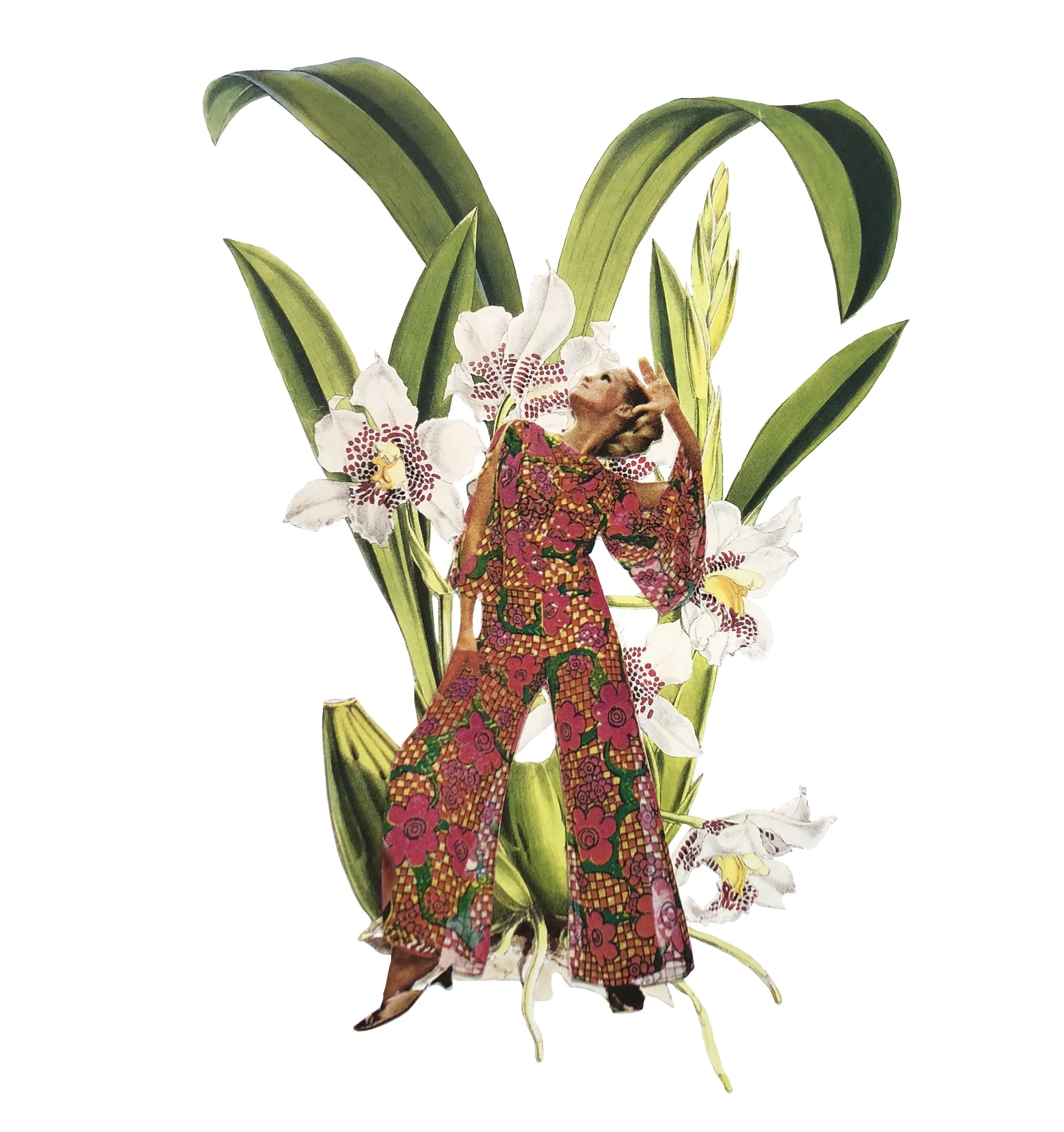 General 3 — Jessica Whittingham