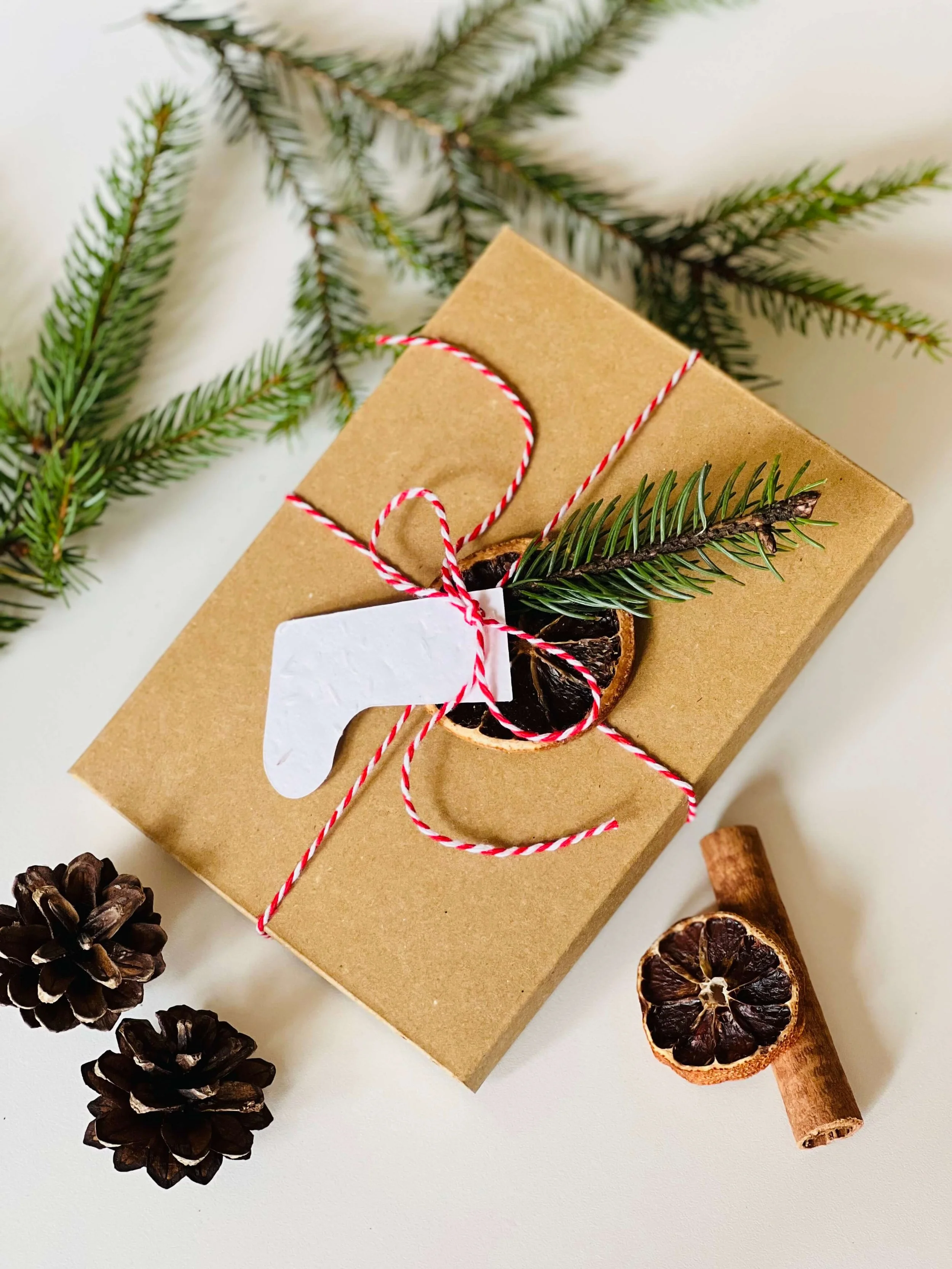 Fragile - Paper Tape — Latitude 50 Living