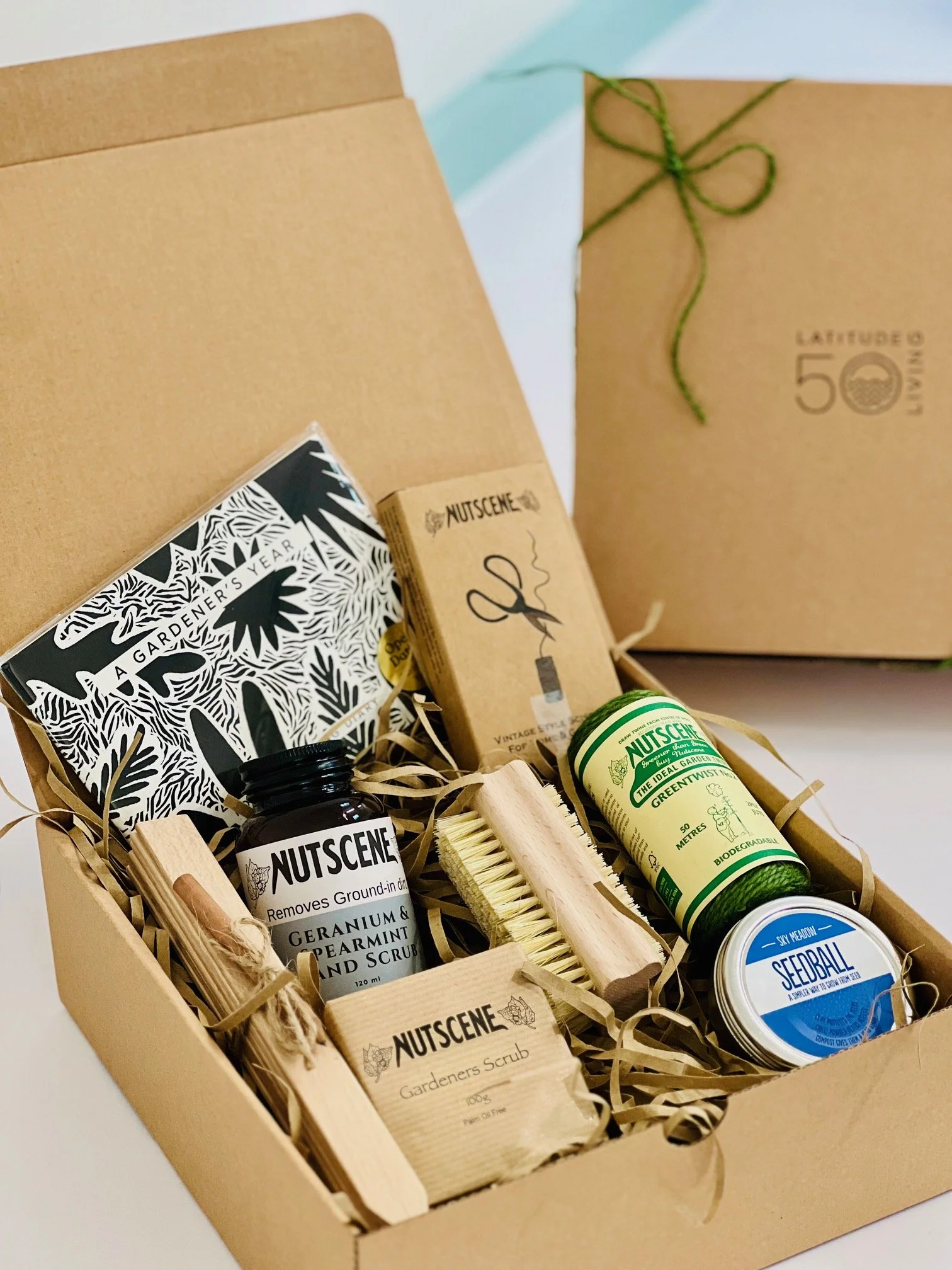 Wooden Plant Pot Brush — Latitude 50 Living