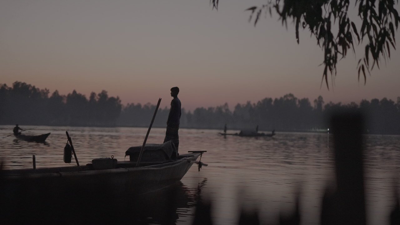 Resilient Foundation