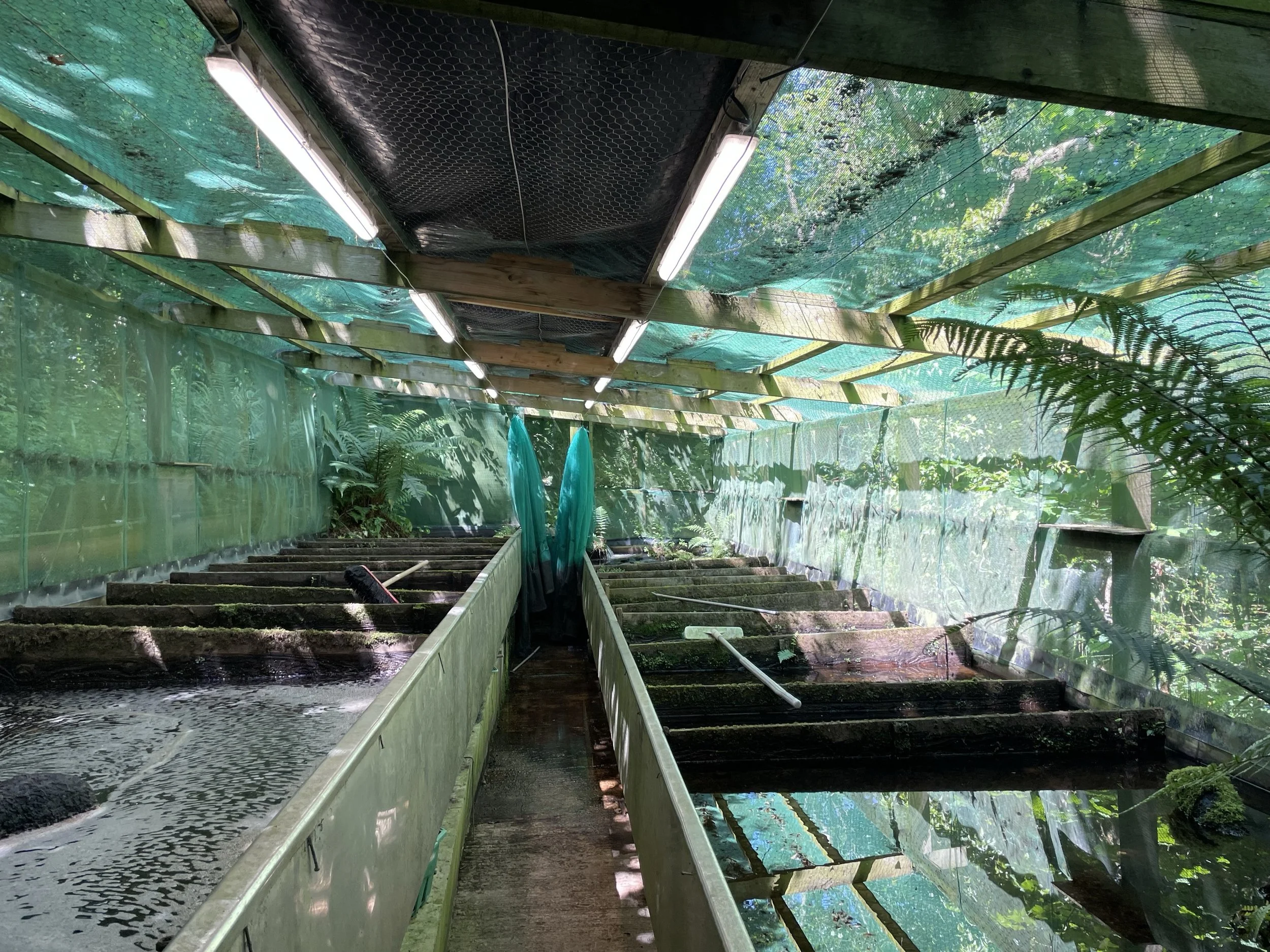 LIFE R4Ever Kent trip to Ballinderry River Trust — Freshwater ...