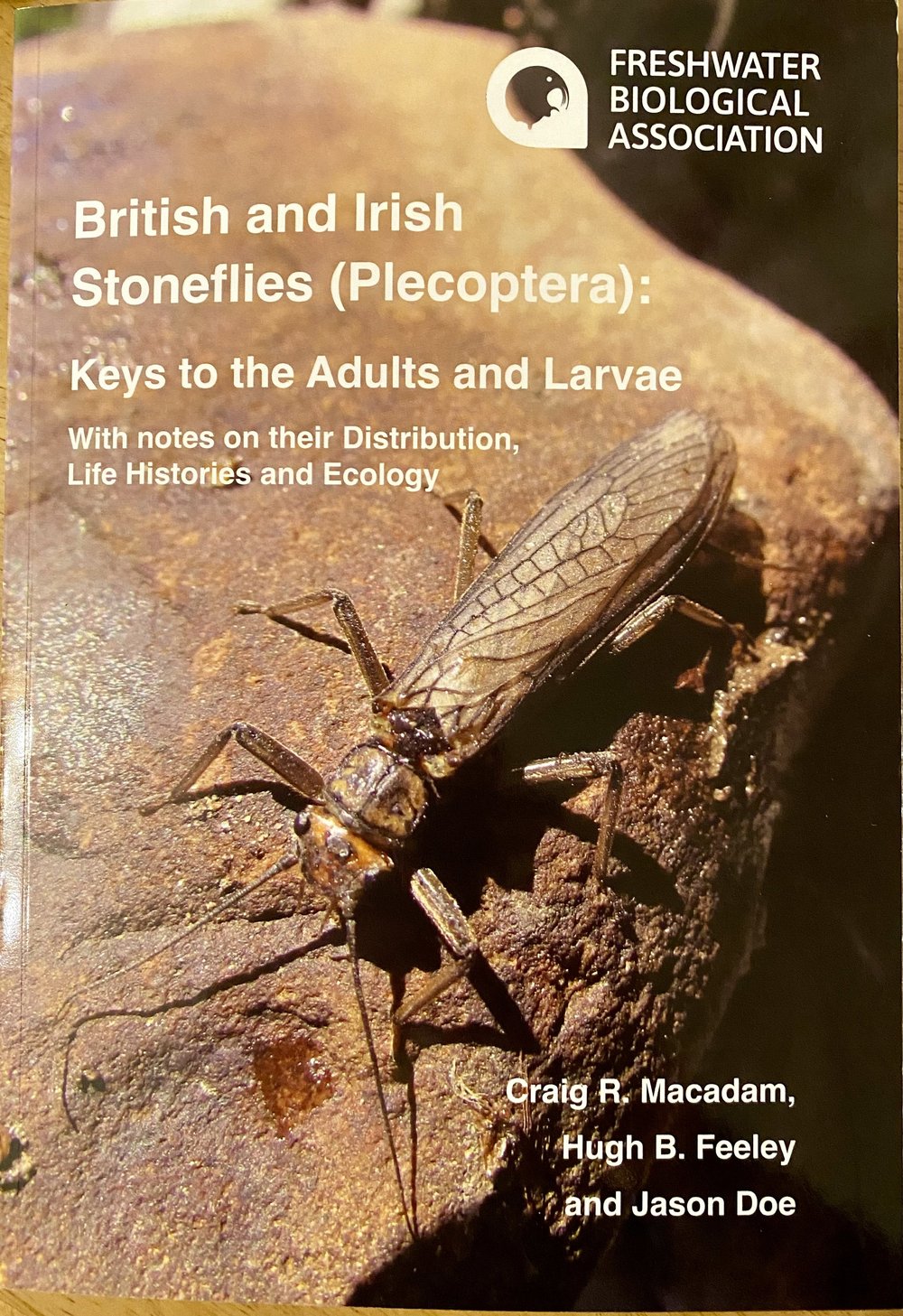 Extended Riverfly Groups Invertebrate ID Chart — Freshwater Biological ...