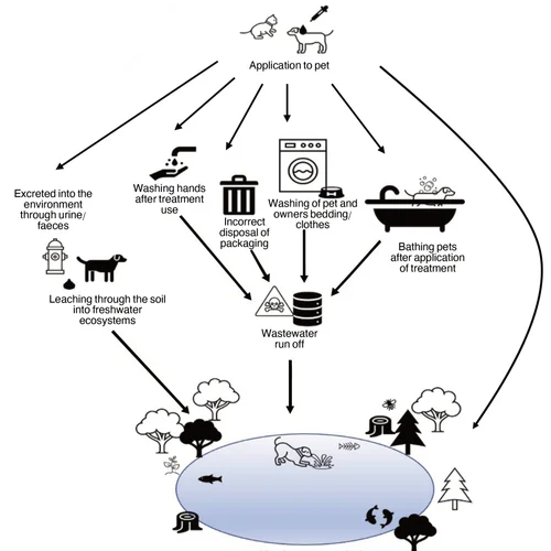 Pet treatments could be harming freshwater life — Freshwater Biological ...