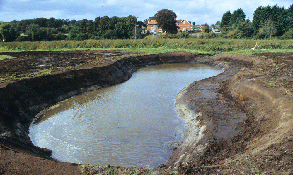 The Wensum: England’s dying and forgotten chalk river — Freshwater ...
