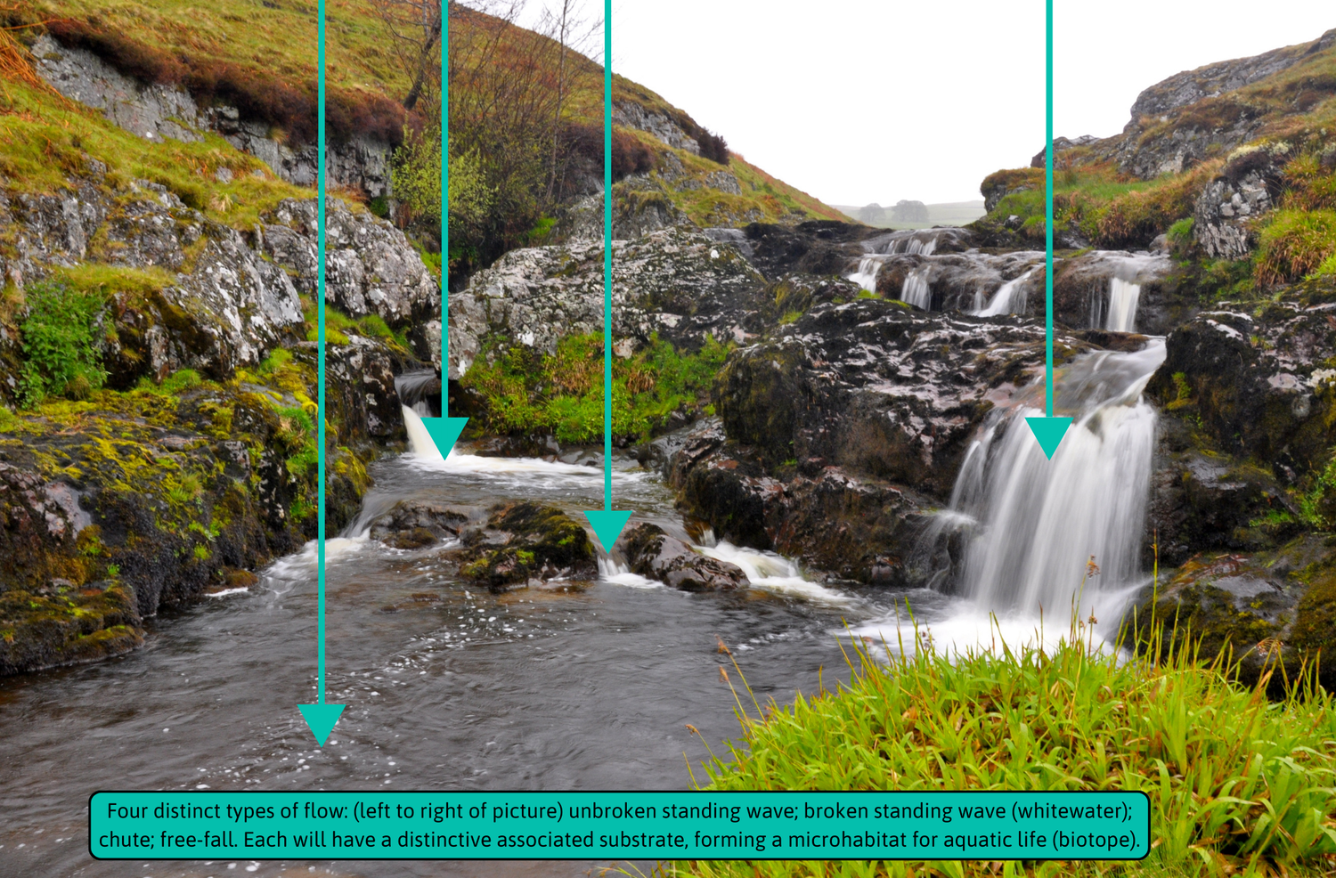 Assessing physical habitat: seeking the Holy Grail of river monitoring ...