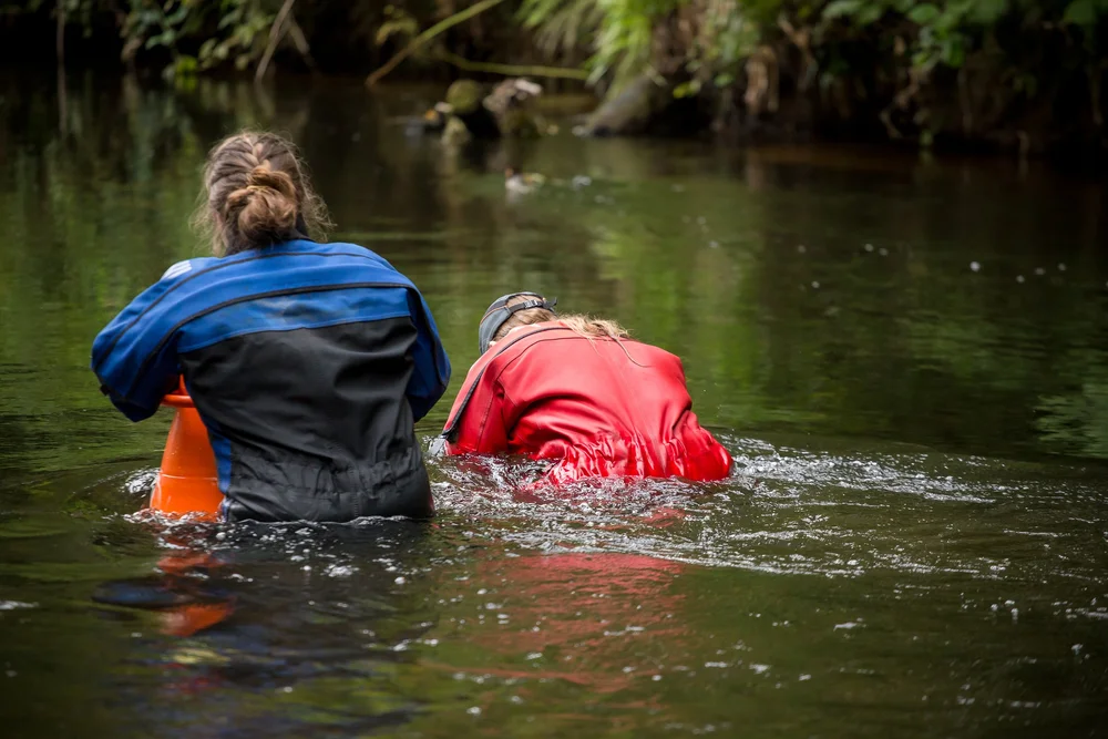 Freshwater Pearl Mussels | Freshwater Biological Association