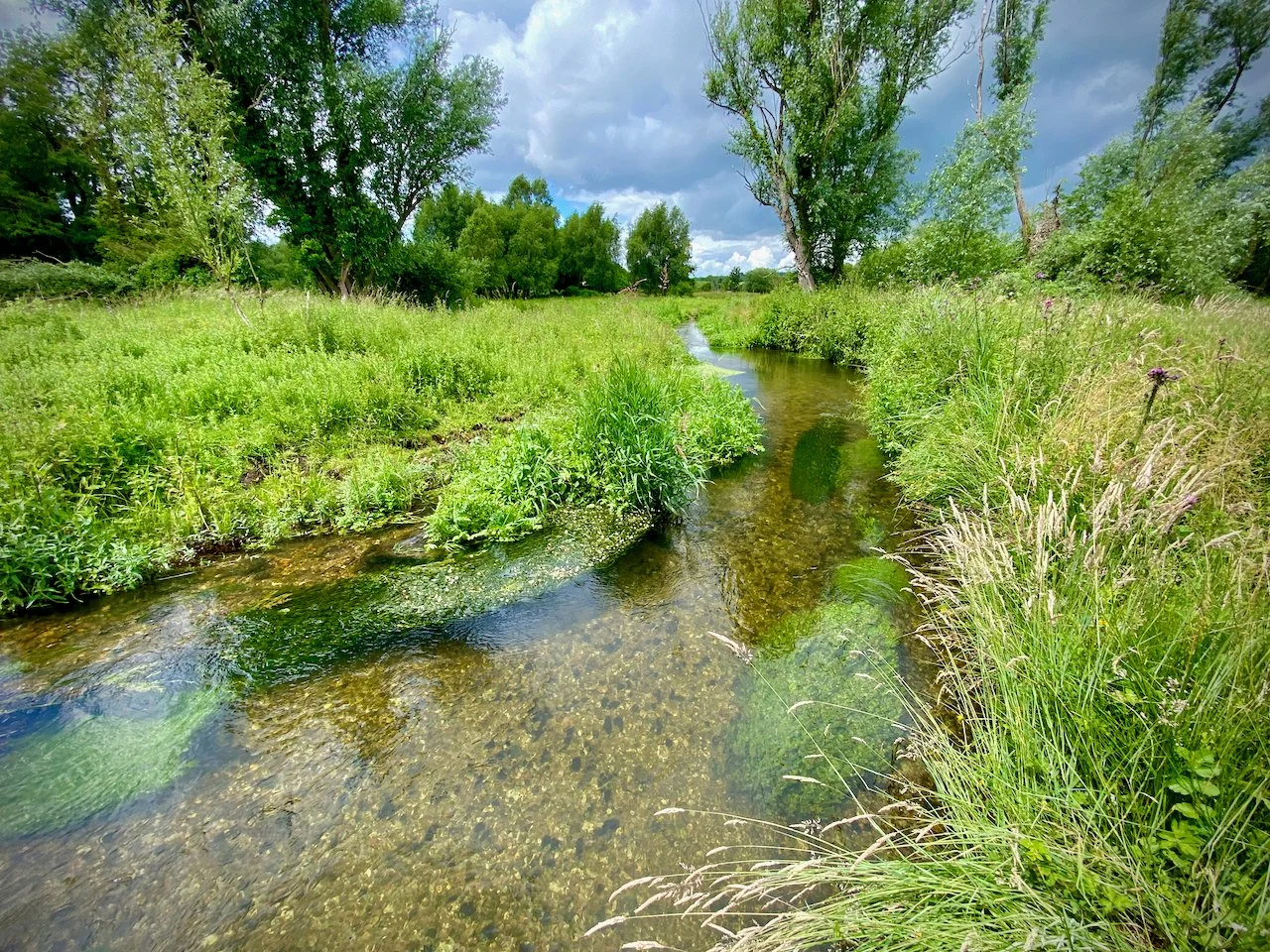 Restoring chalk streams in a changing climate — Freshwater Biological ...