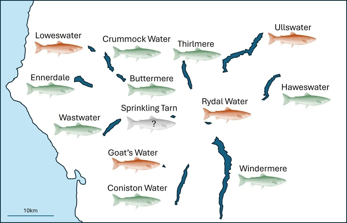Species on the edge: Arctic charr at the southern extent of its range ...