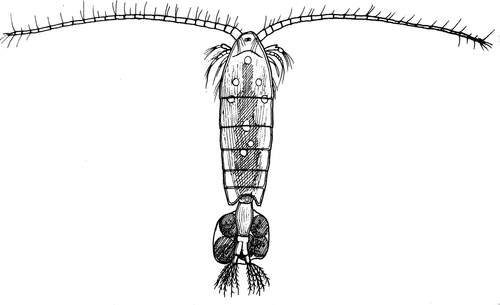 Freshwater Biological Association | Environmental Research and Advocacy