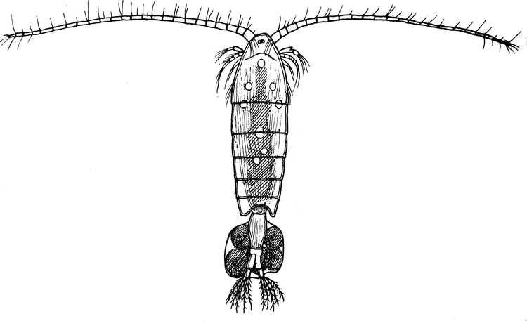 Freshwater Biological Association | Environmental Research and Advocacy